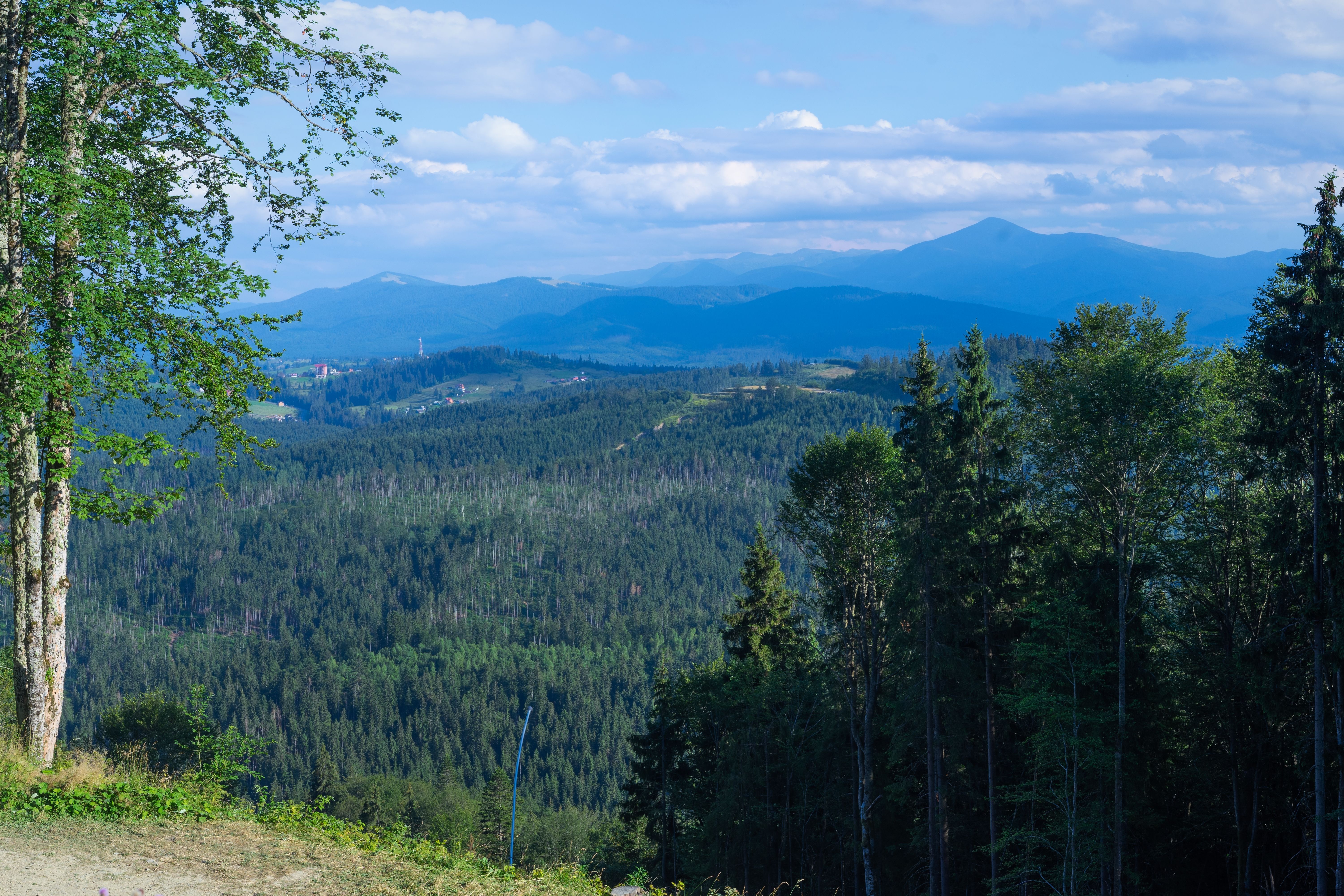 Landscape Scenery of Green Trees Across the Mountains · Free Stock Photo