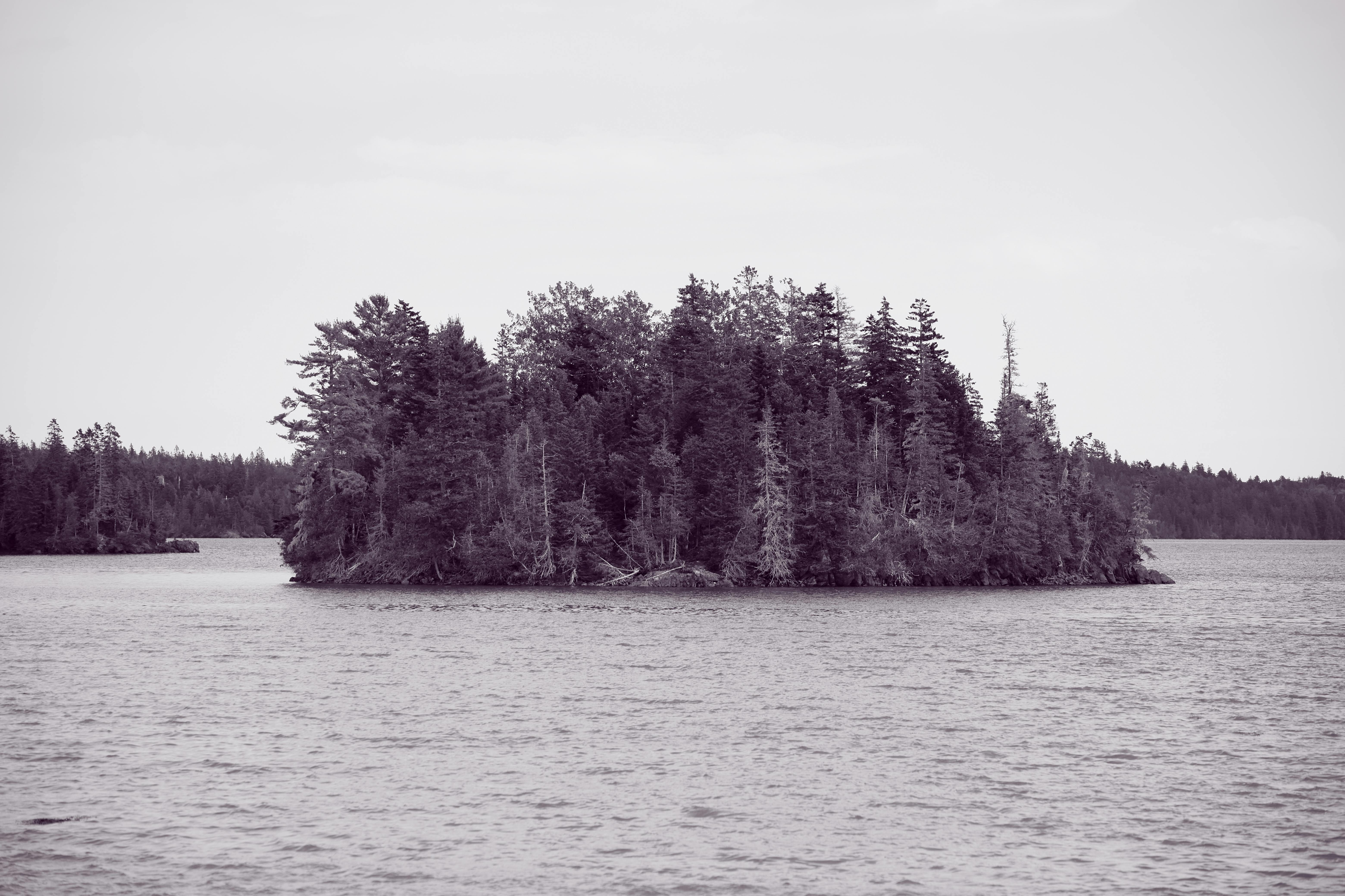 Wilson Malone - Photography