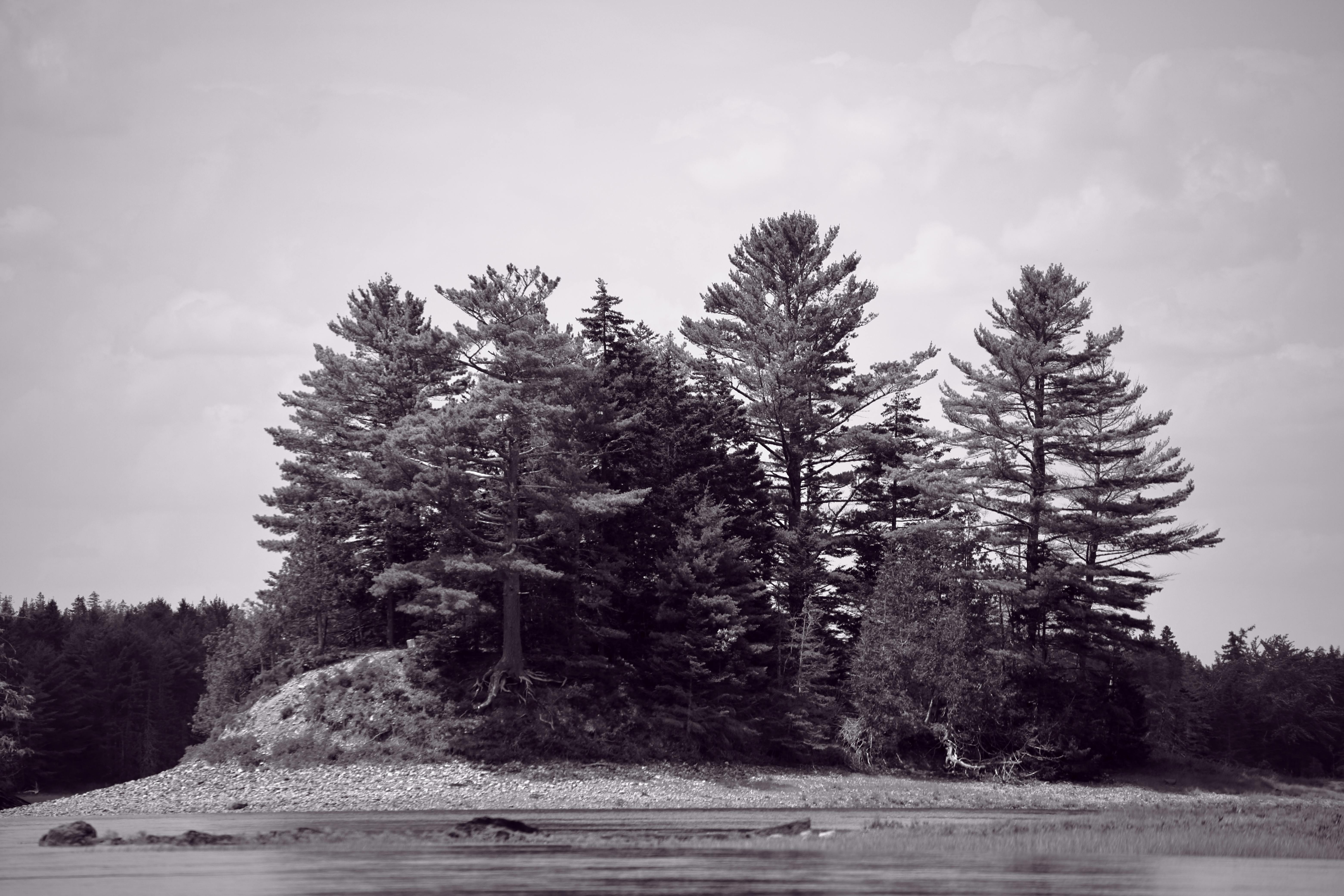 Wilson Malone - Photography