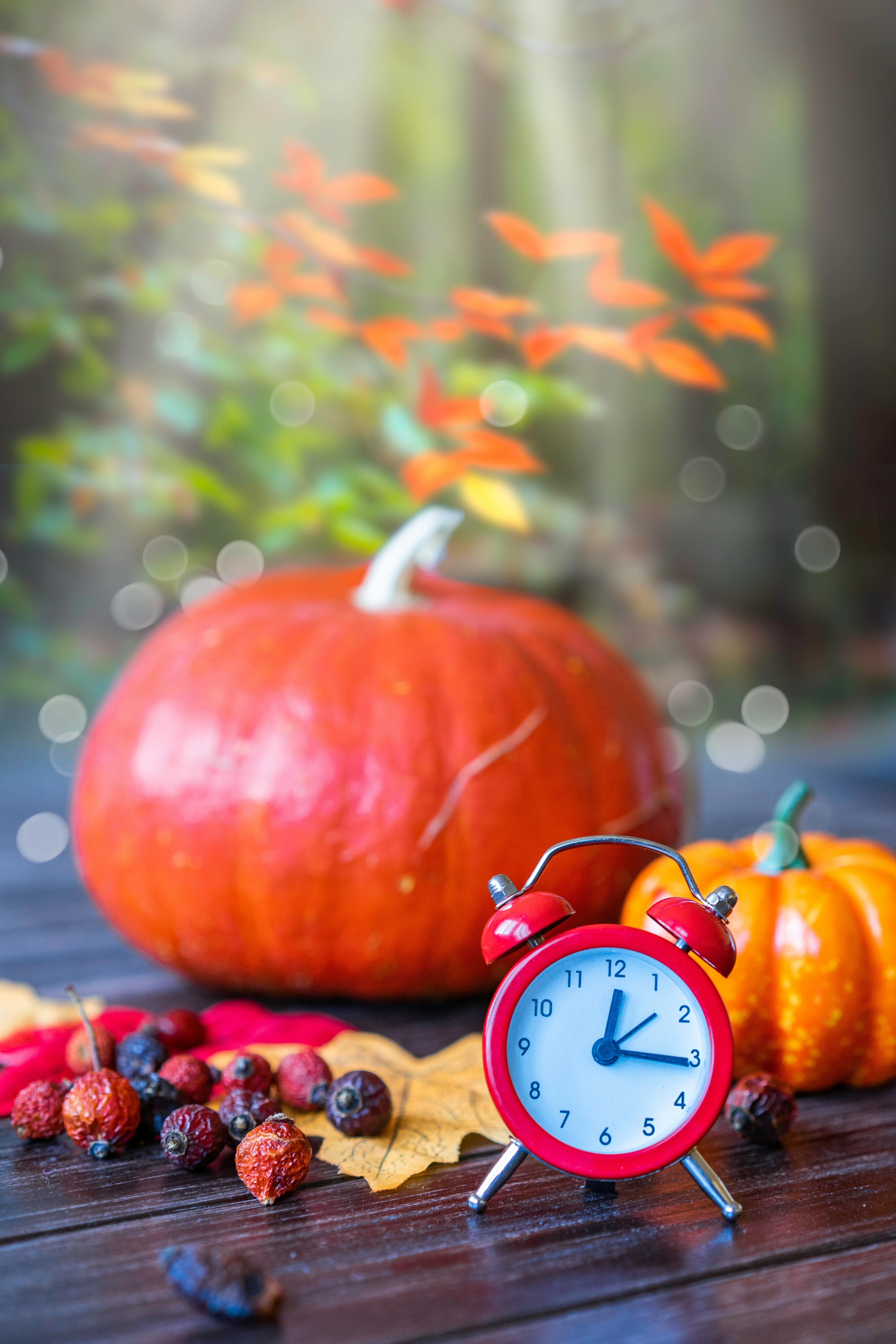 Bts Autumn Leaves Photos, Download Free Bts Autumn Leaves Stock Photos ...