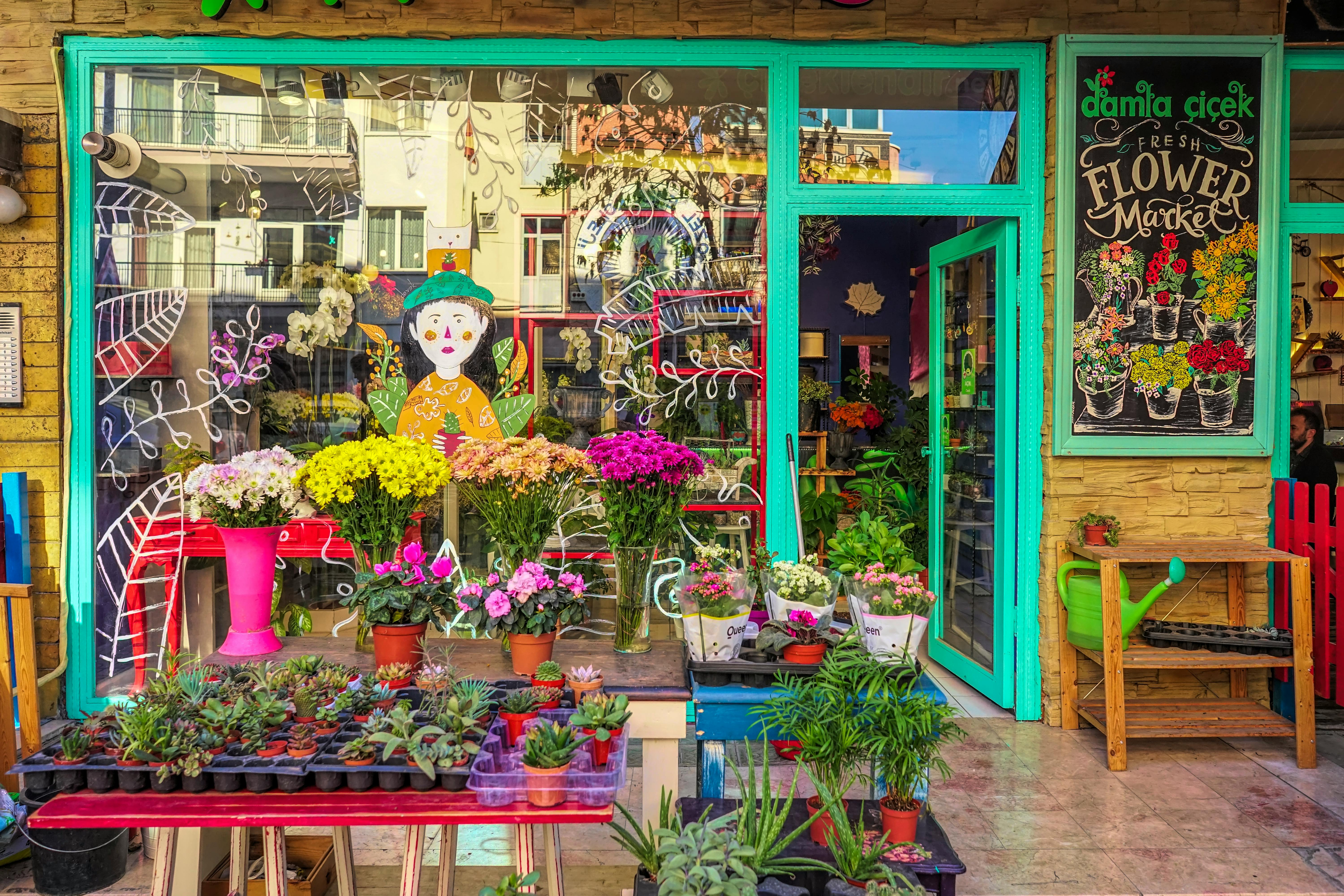 Colorful Flowers in a Flower Shop · Free Stock Photo