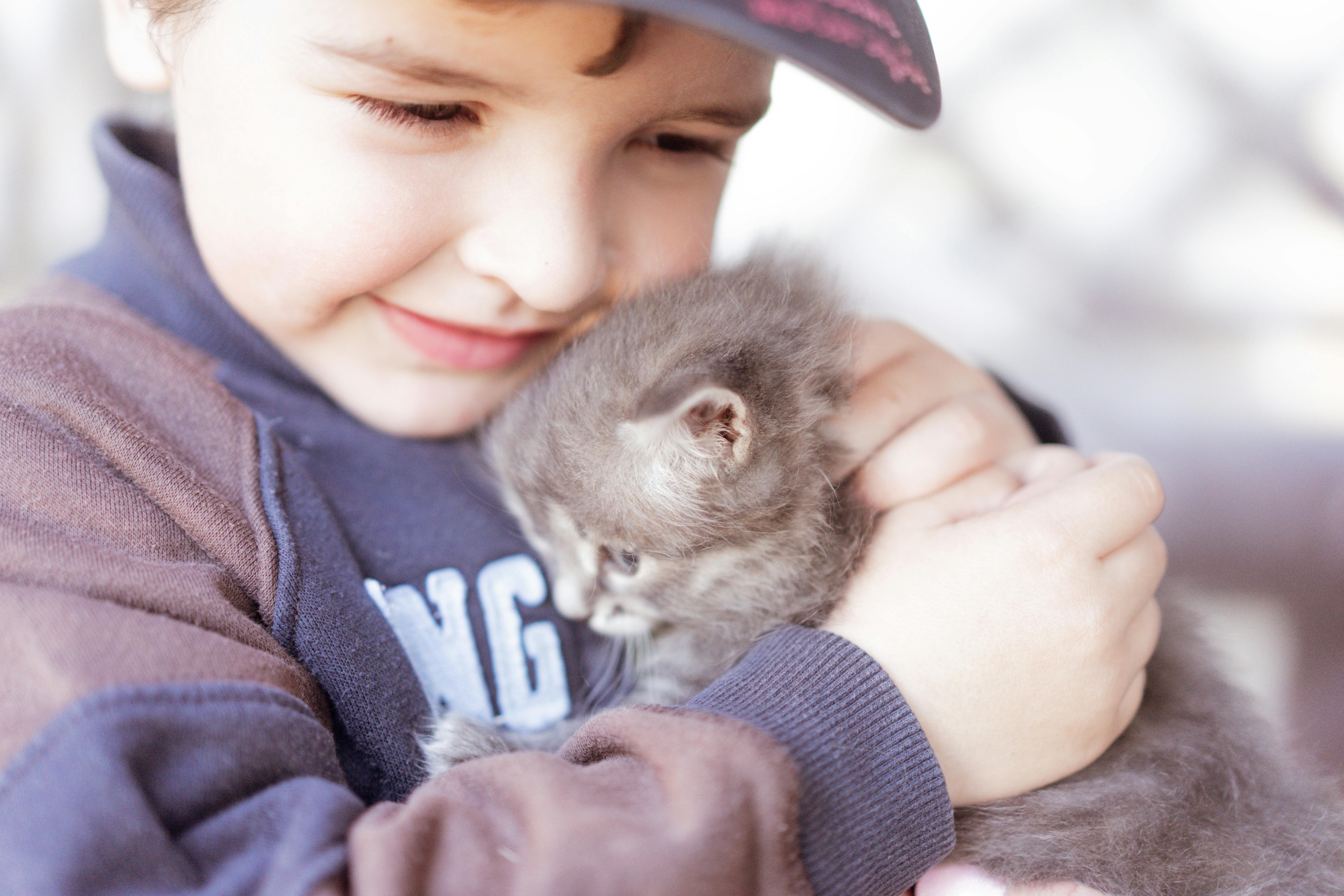 Boy Holding a Cat · Free Stock Photo