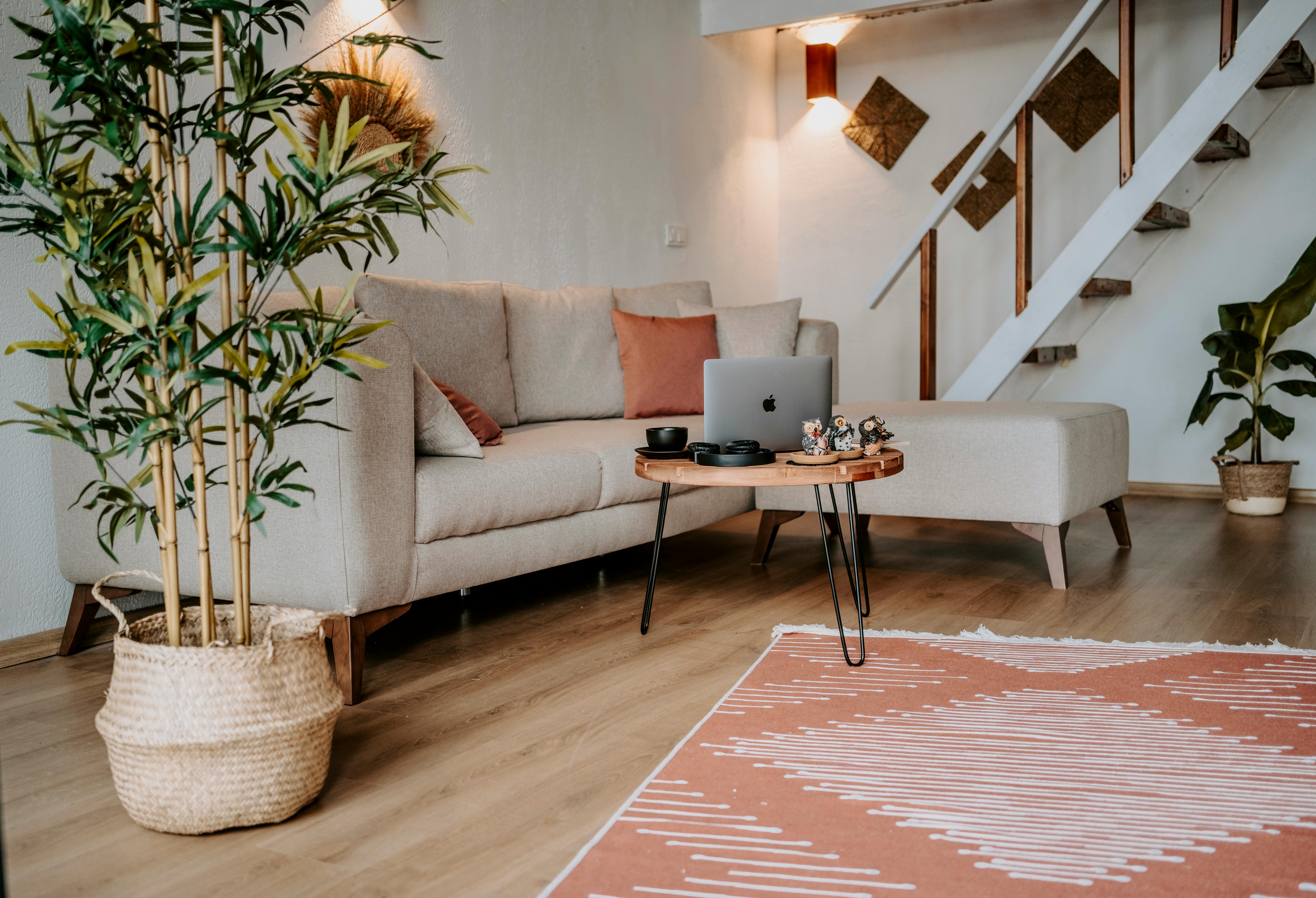 Green Plant Beside a Couch · Free Stock Photo