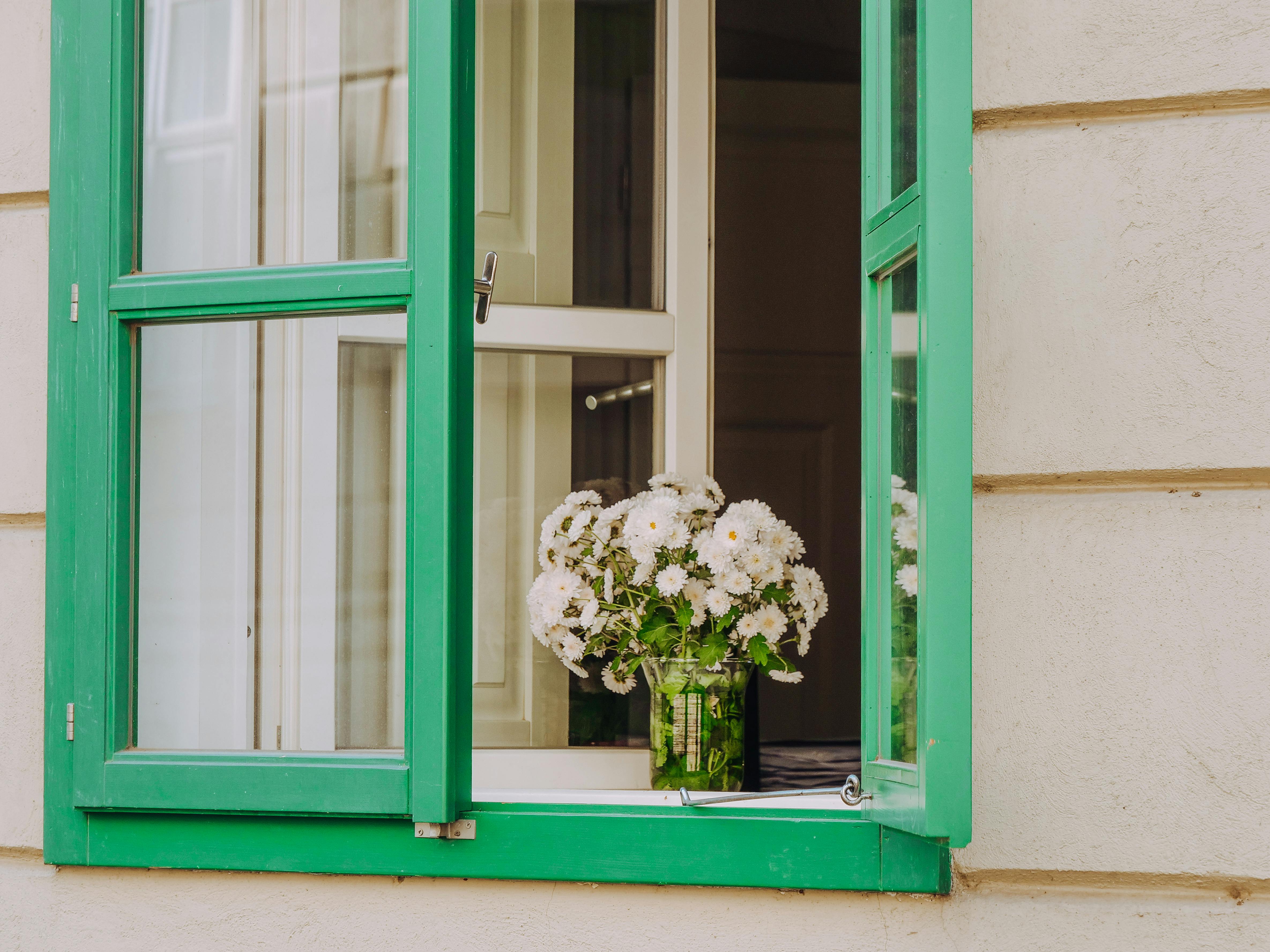 Flowers on the Window · Free Stock Photo