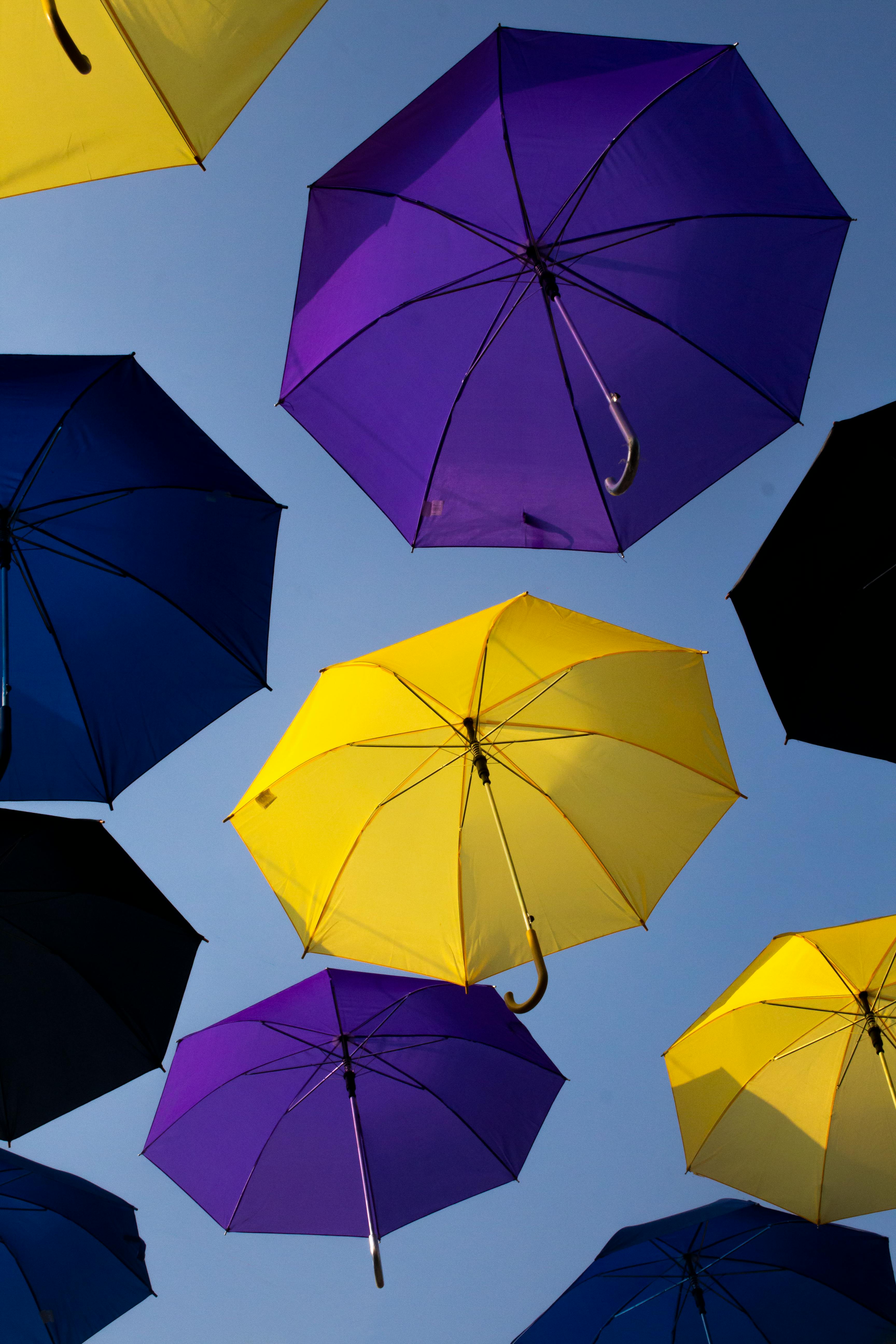 A Set of Yellow and Blue Umbrella · Free Stock Photo