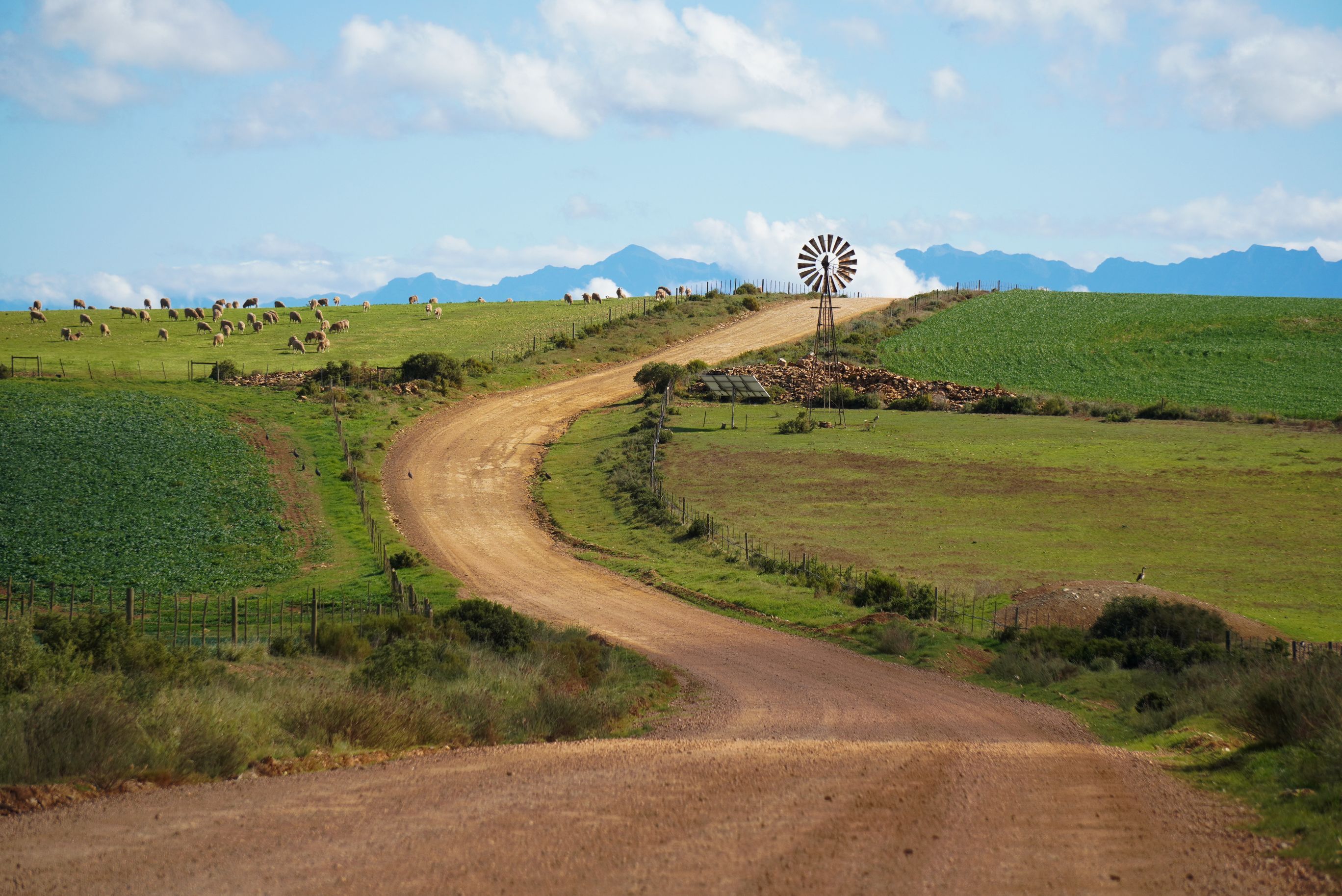 Dirt Road in Between Green Grass Field · Free Stock Photo