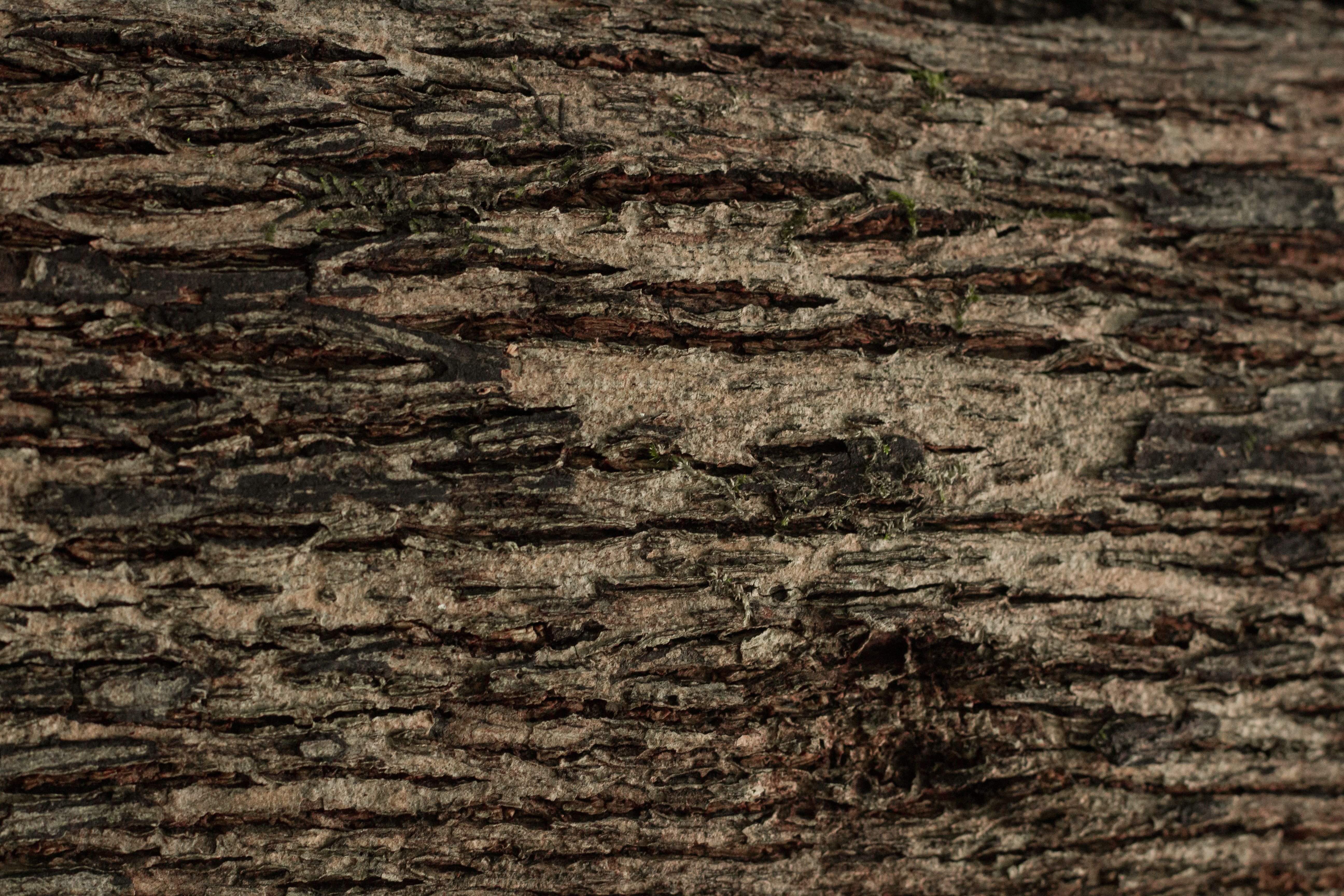 Close Up Texture Photos, Download The BEST Free Close Up Texture Stock ...