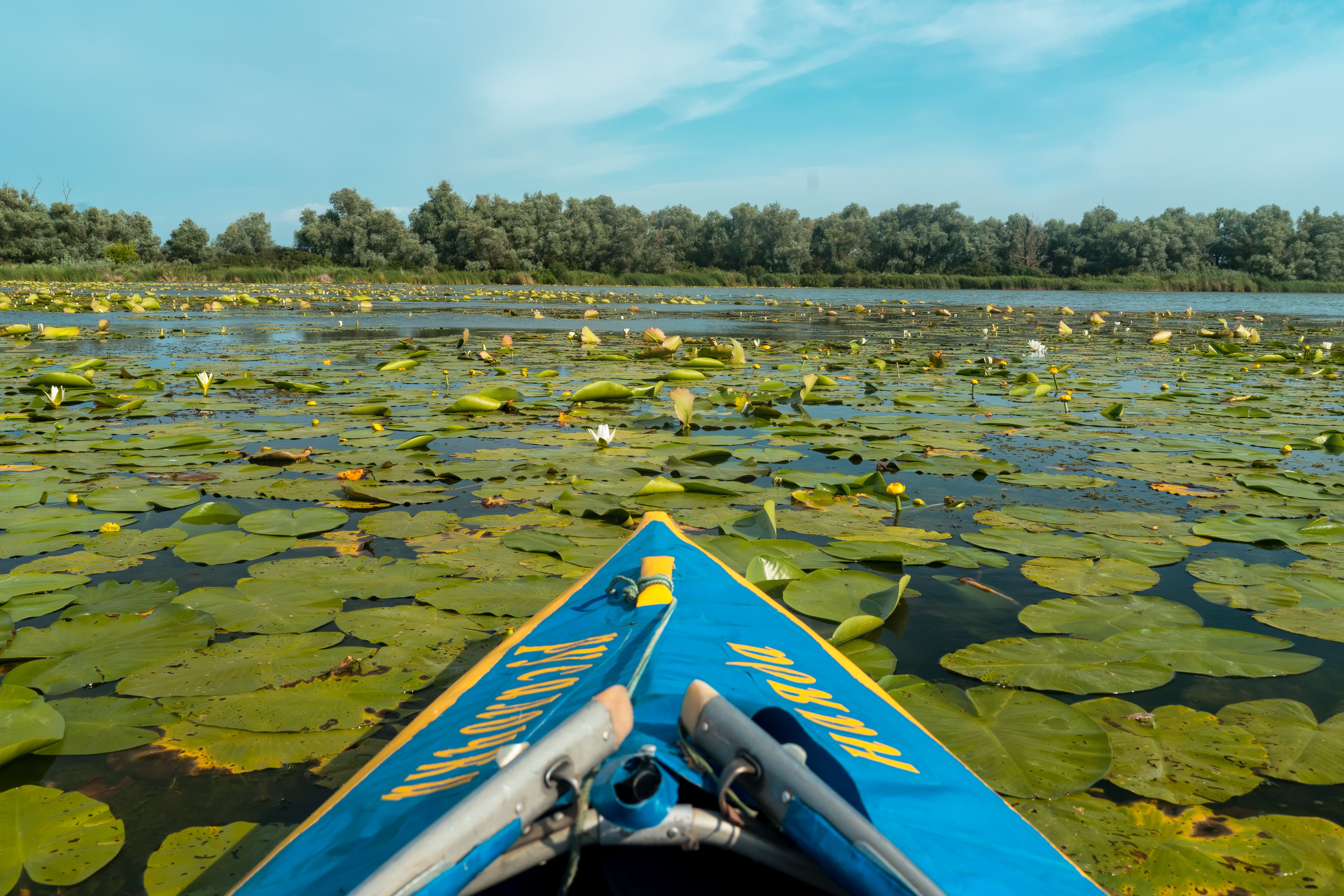 Person Canoeing on Lake near Mountains and Hills · Free Stock Photo