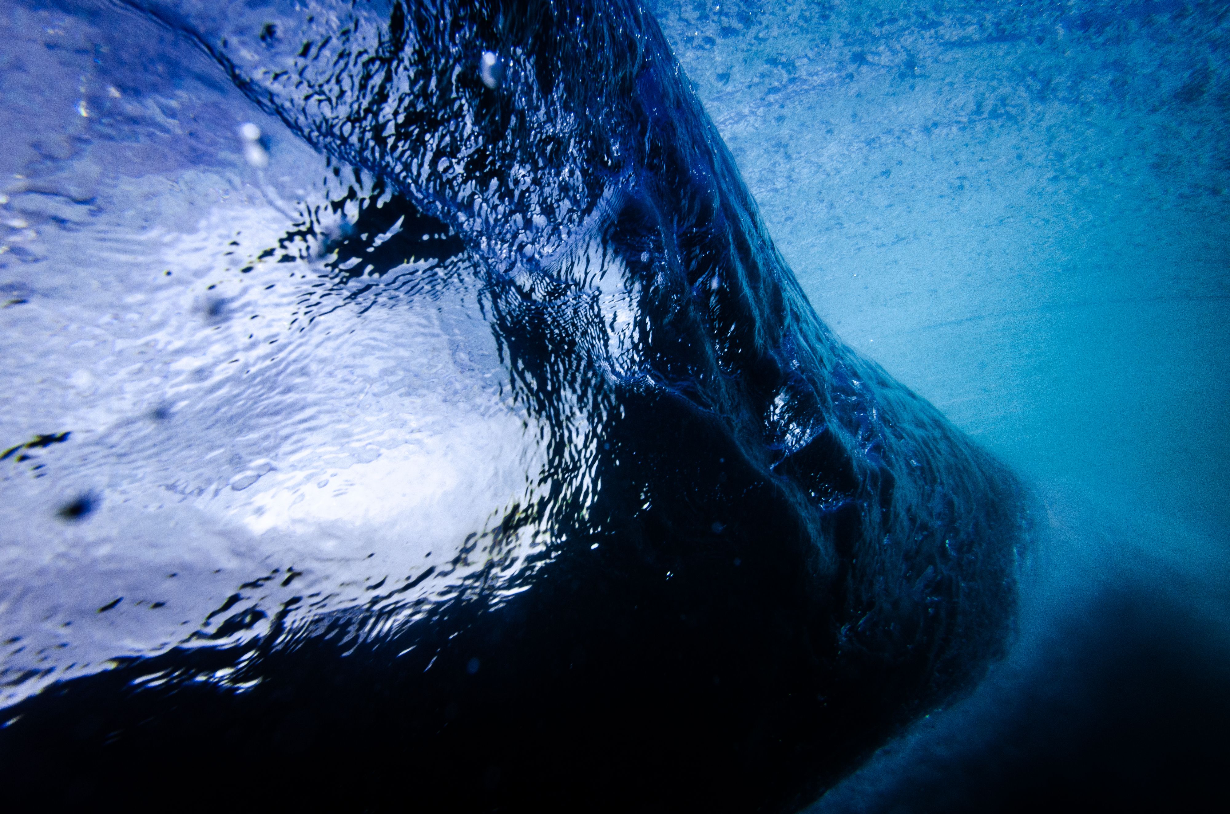 Underwater Bubble Pig Photos, Download The BEST Free Underwater Bubble ...
