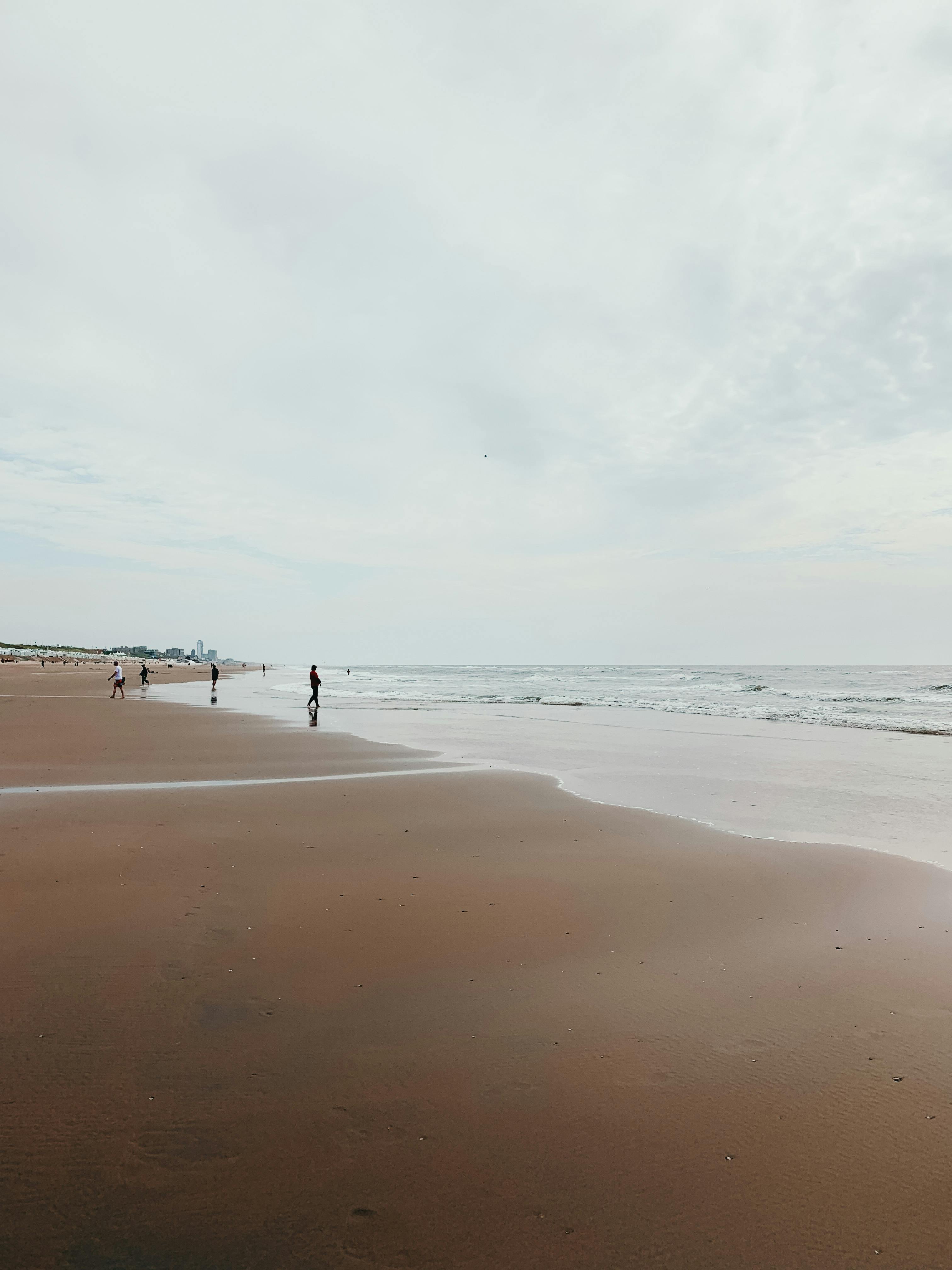 People Walking on Beach · Free Stock Photo