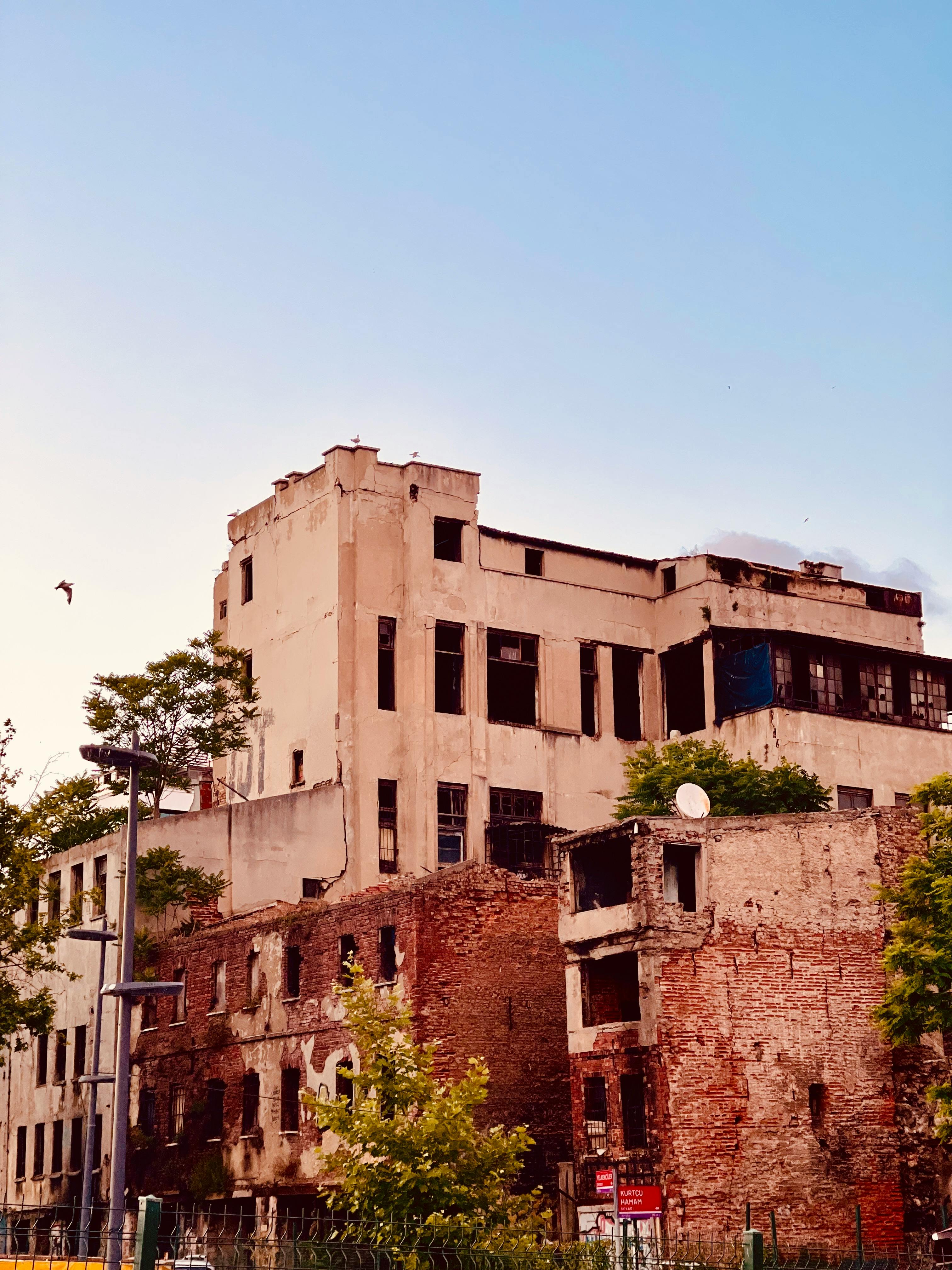 Nature spreading · Free Stock Photo