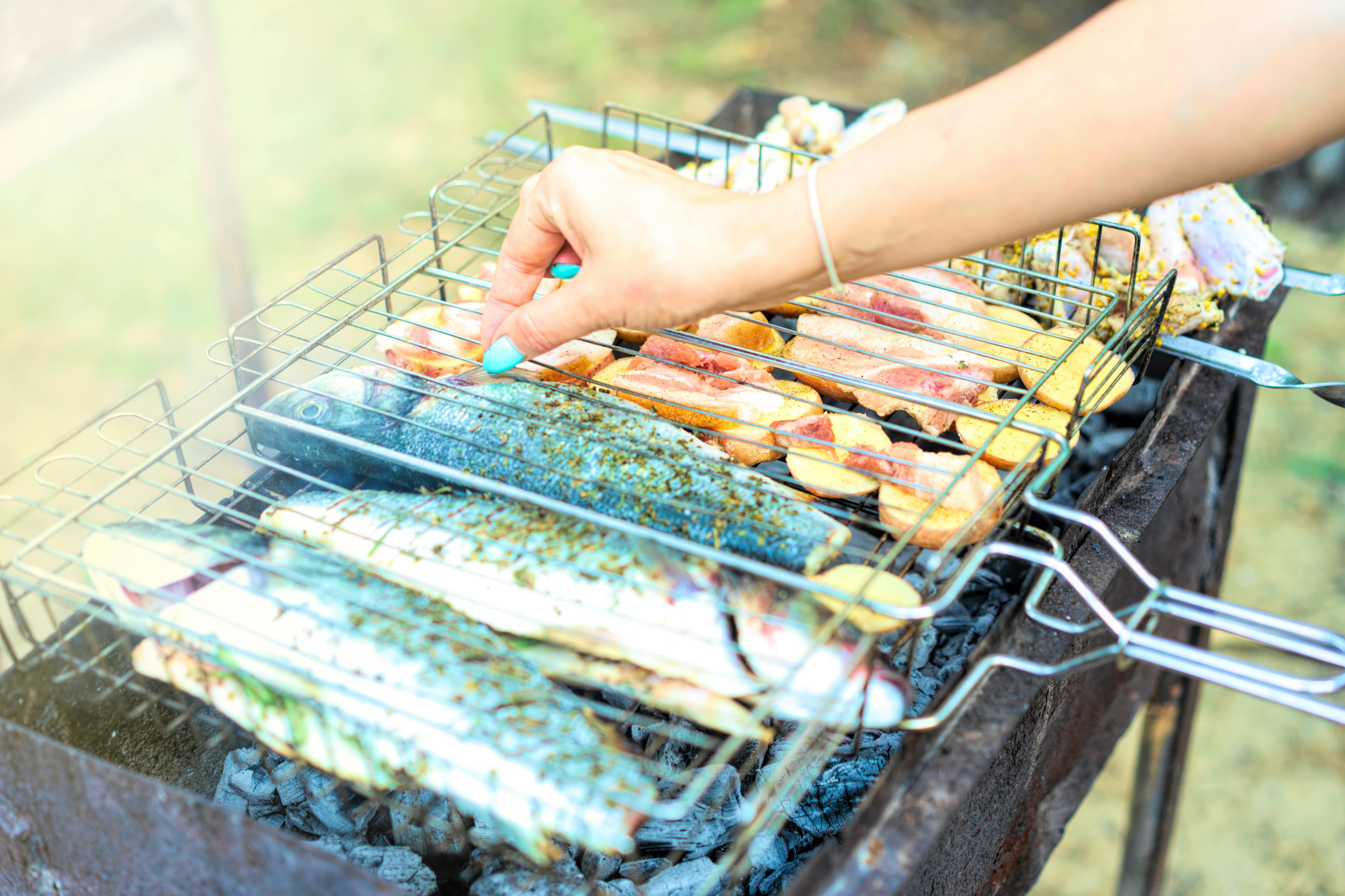 Woman Grilling Fish and Meat · Free Stock Photo