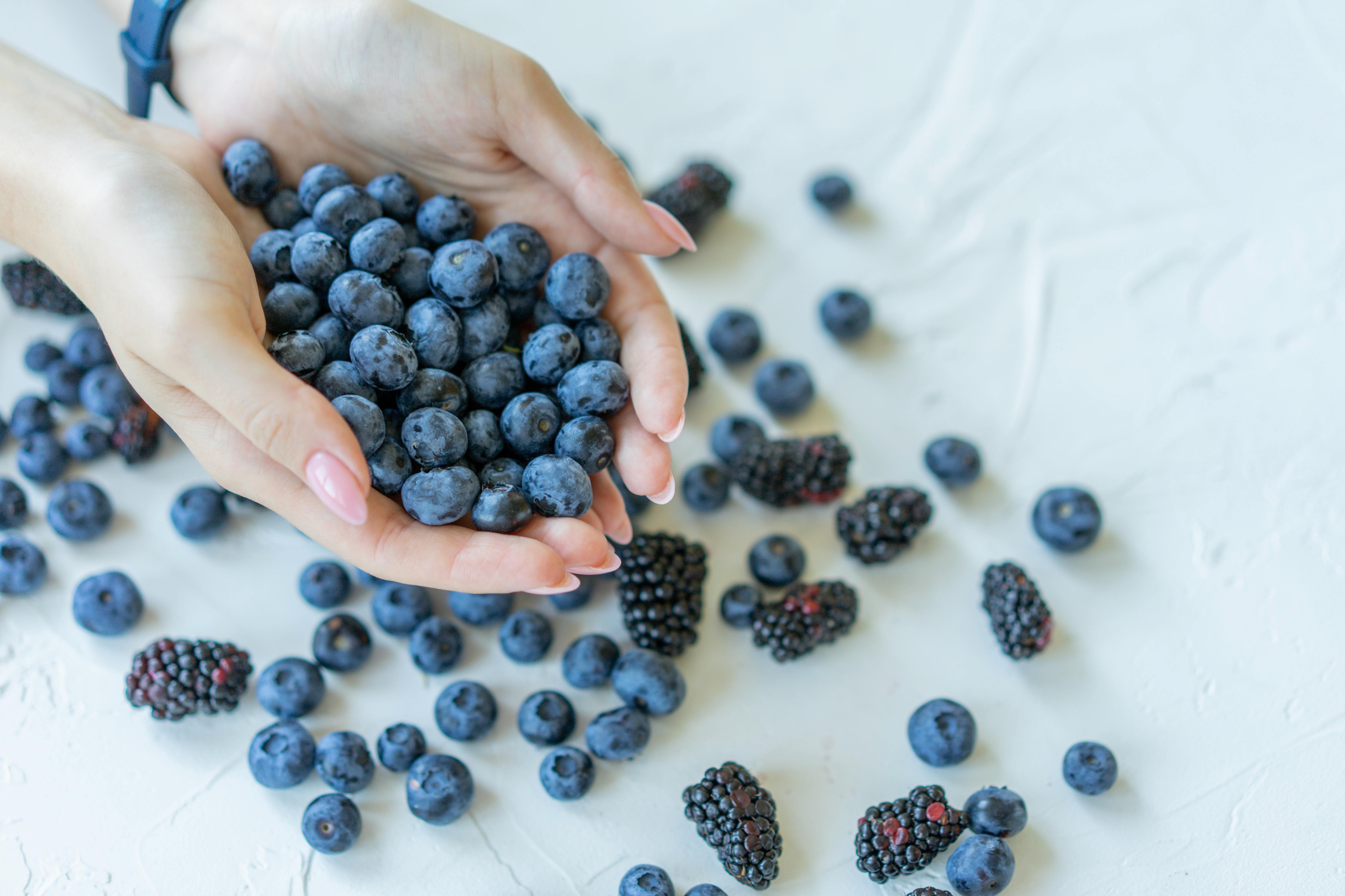 Person Holding Blueberries · Free Stock Photo