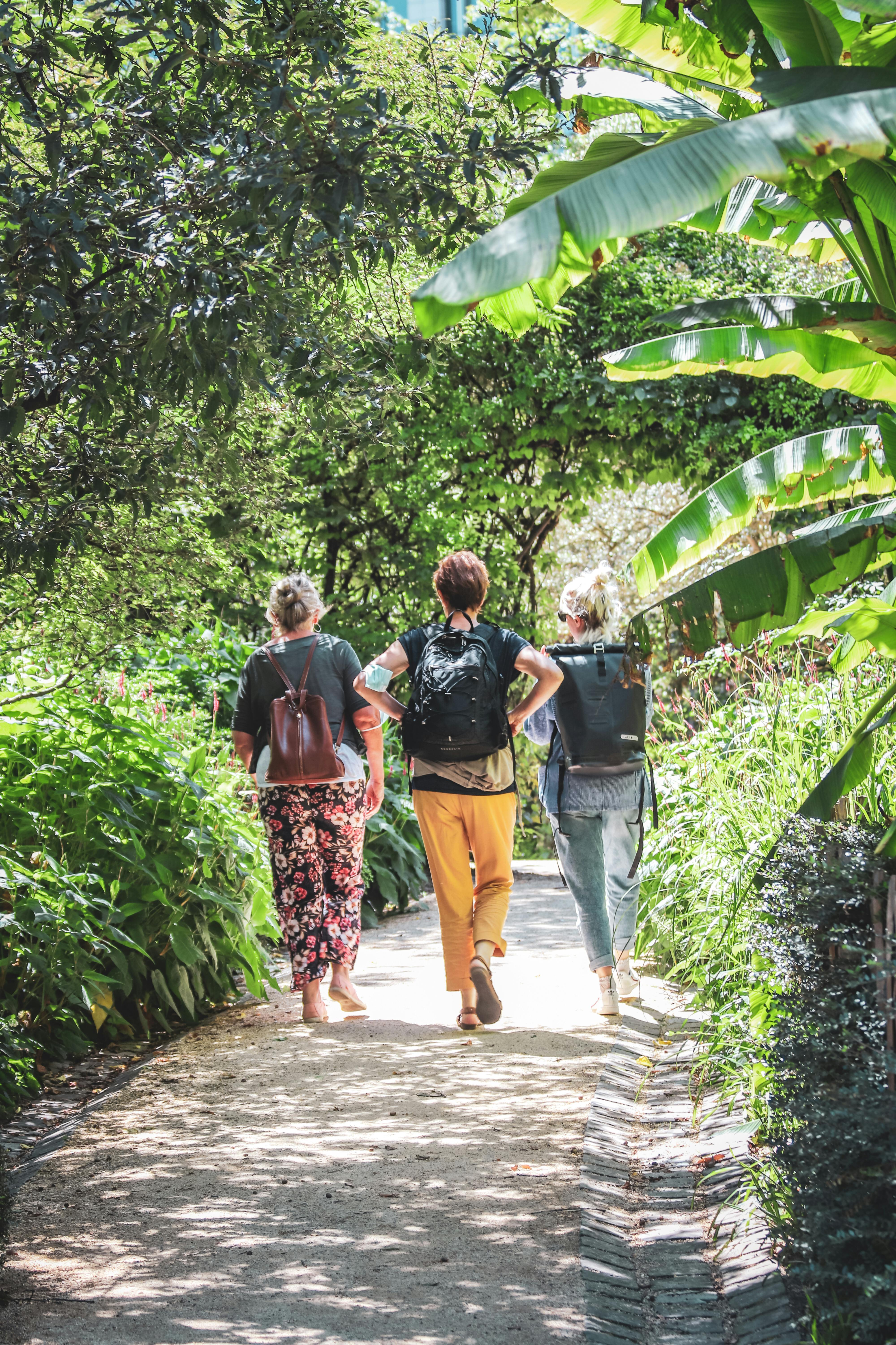 People Walking with Backpacks · Free Stock Photo