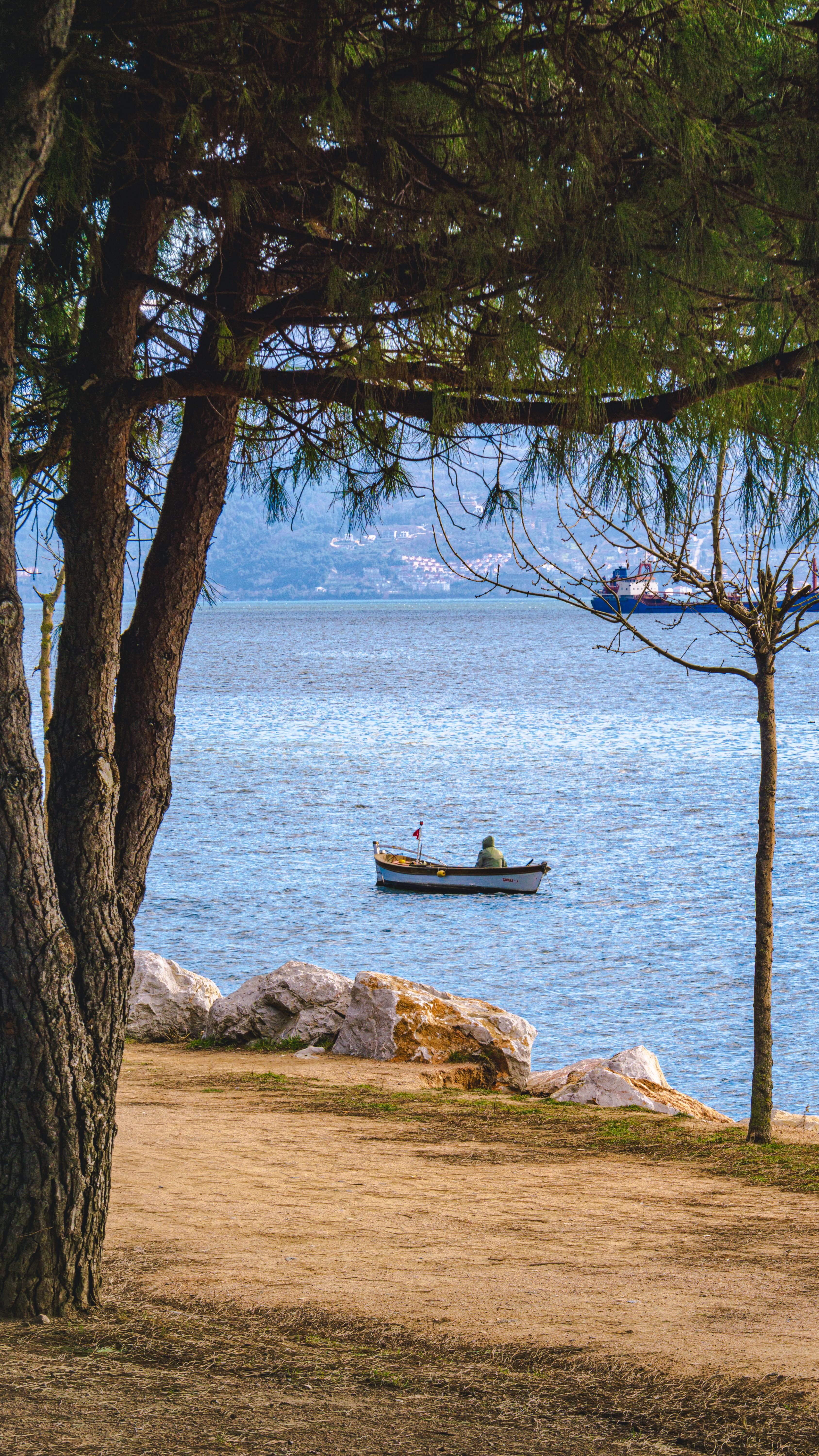 Person Riding in Boat on Body of Water Near Tree · Free Stock Photo