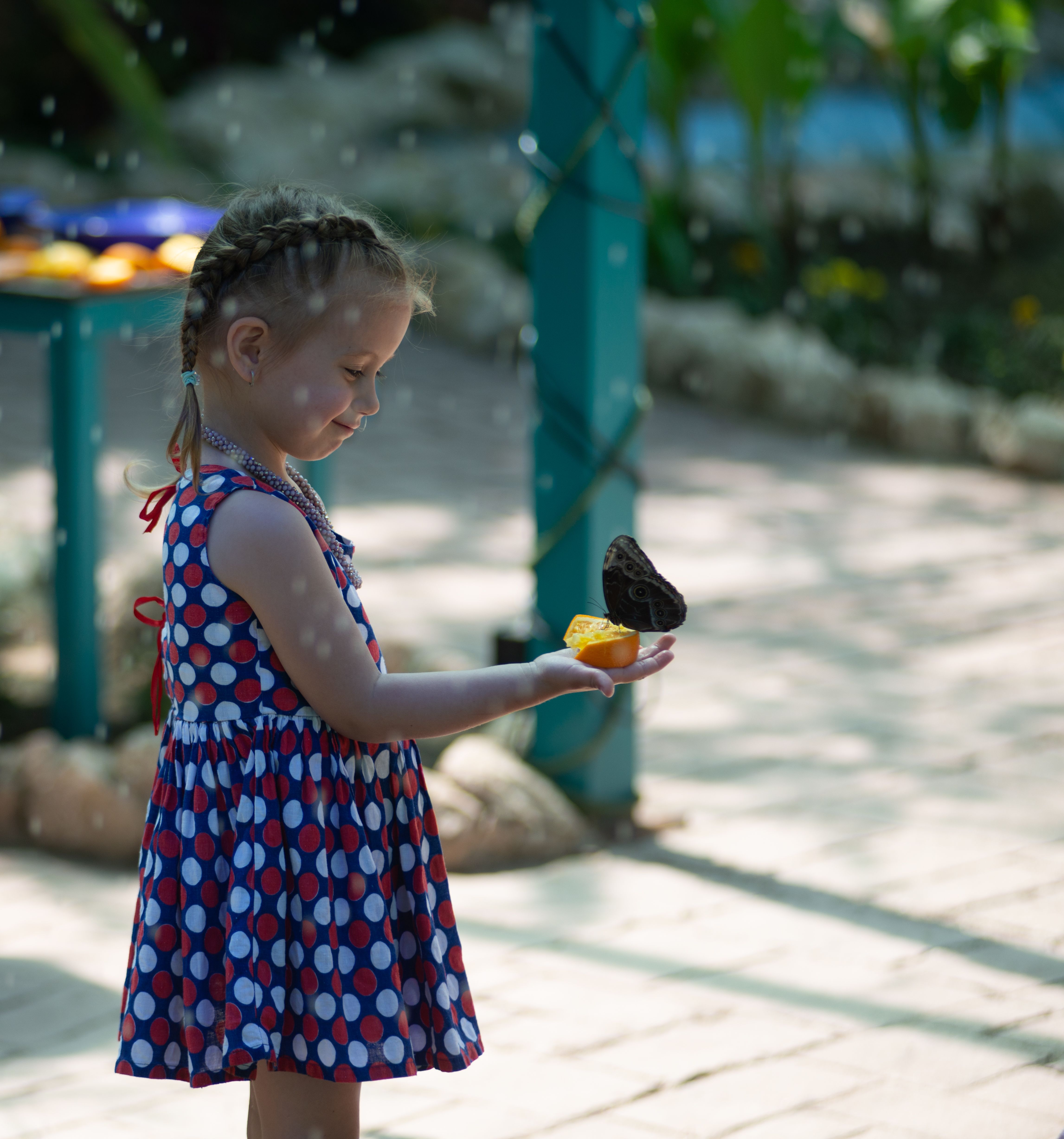 Kids And Curiousity Photos, Download The BEST Free Kids And Curiousity ...
