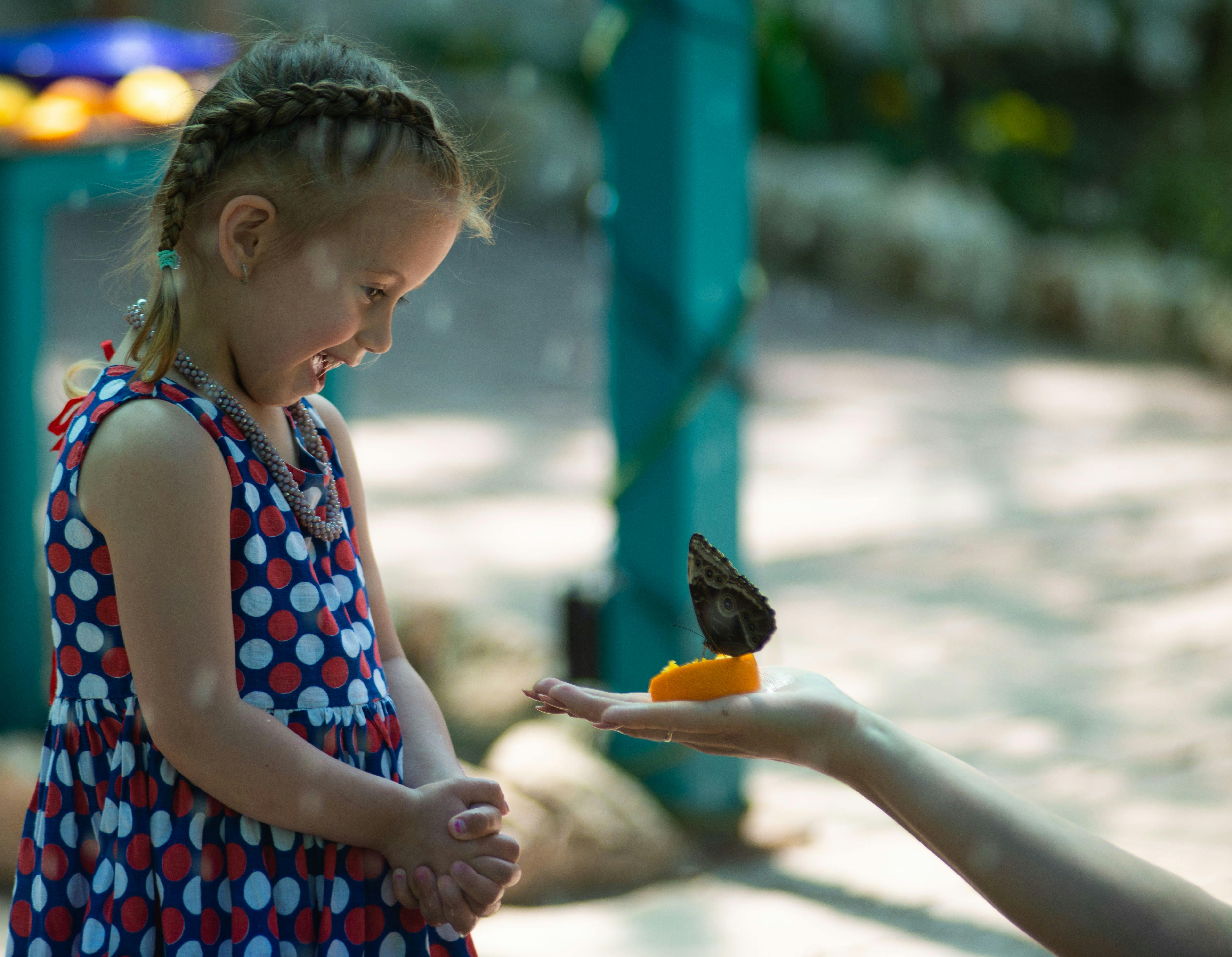 Photograph of a Kid Looking at a Butterfly · Free Stock Photo