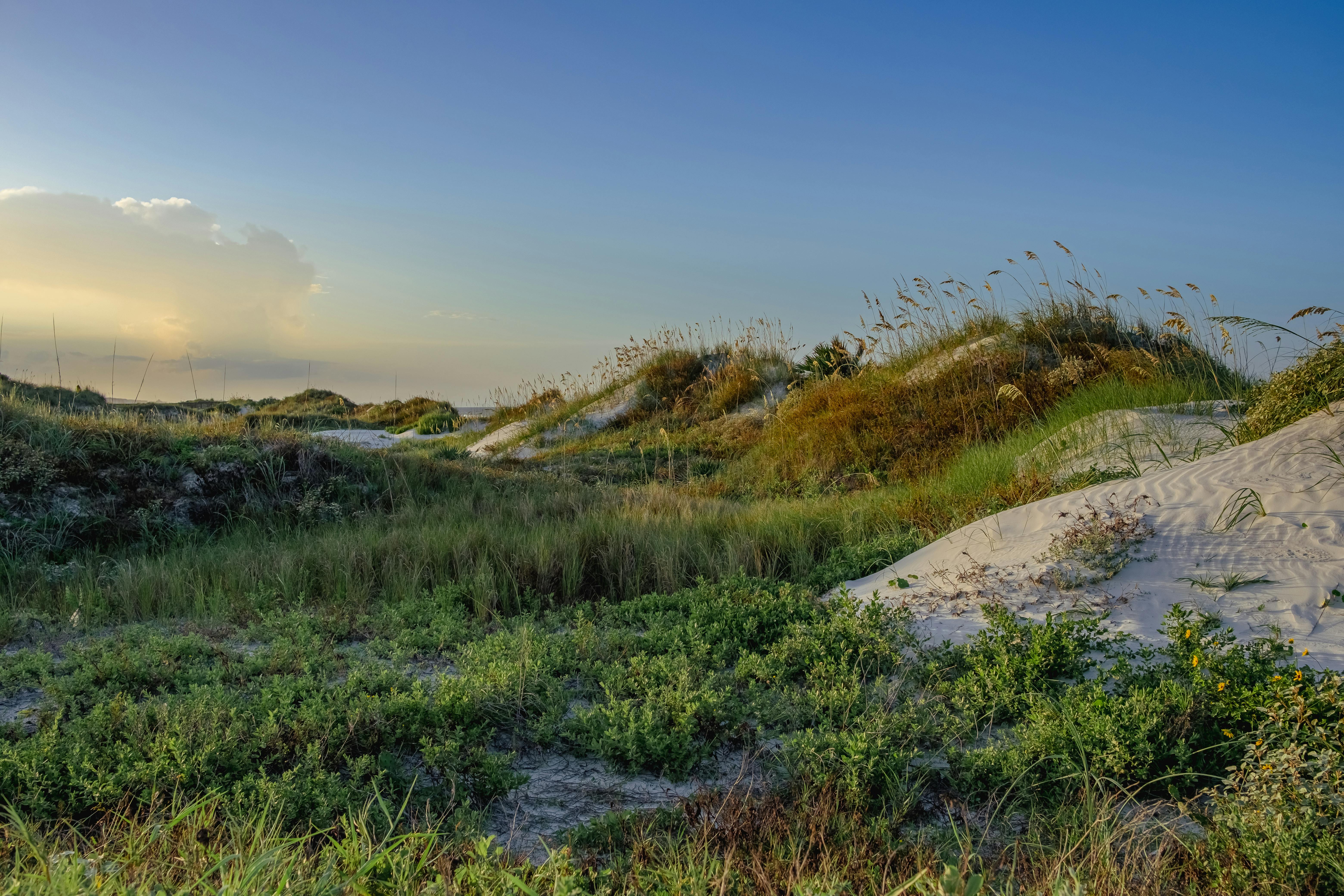 Green Grass Field and Sand Dunes Under Blue Sky · Free Stock Photo