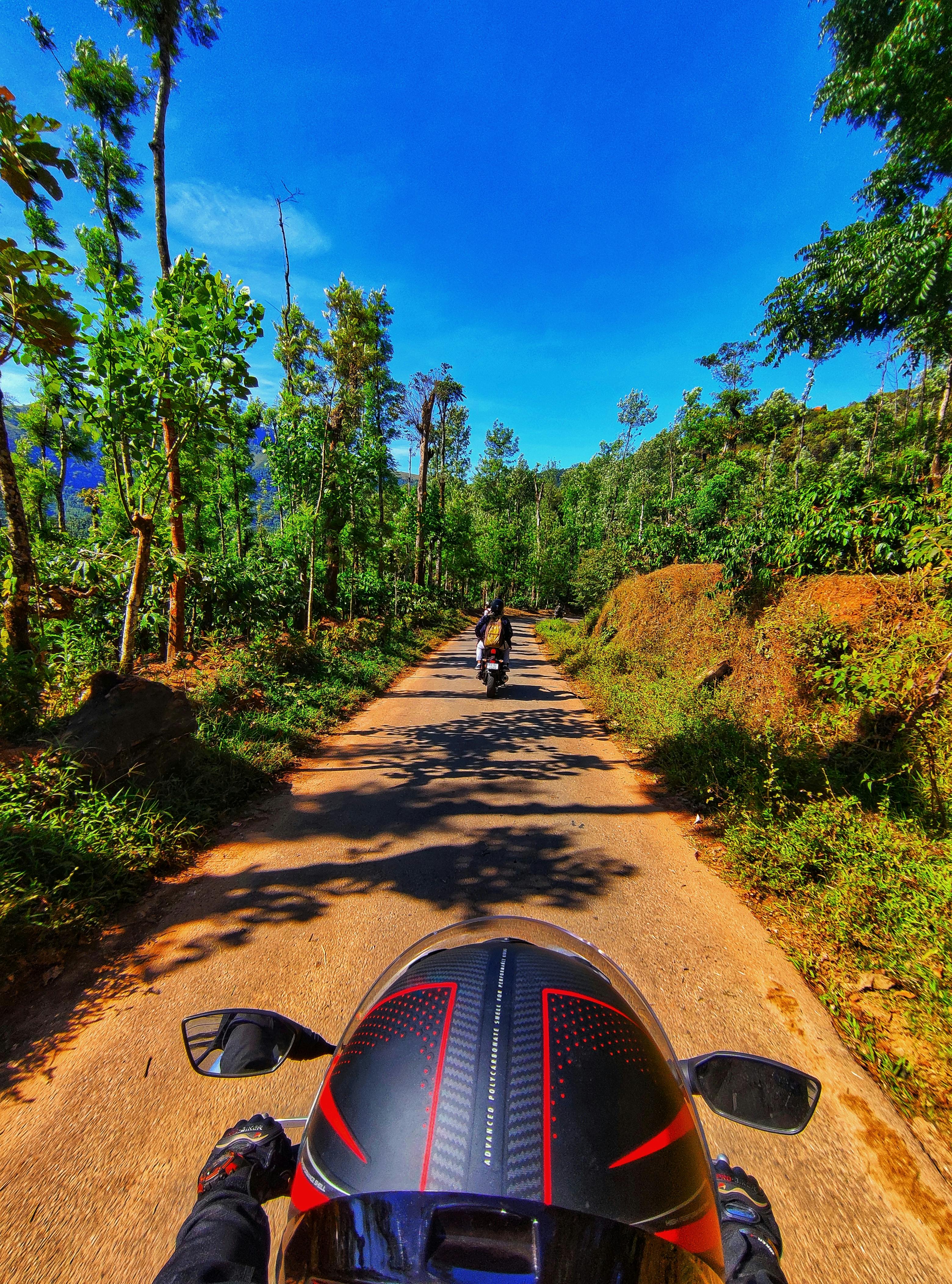 People Riding Motorcycles on Dirt Road Between Trees · Free Stock Photo