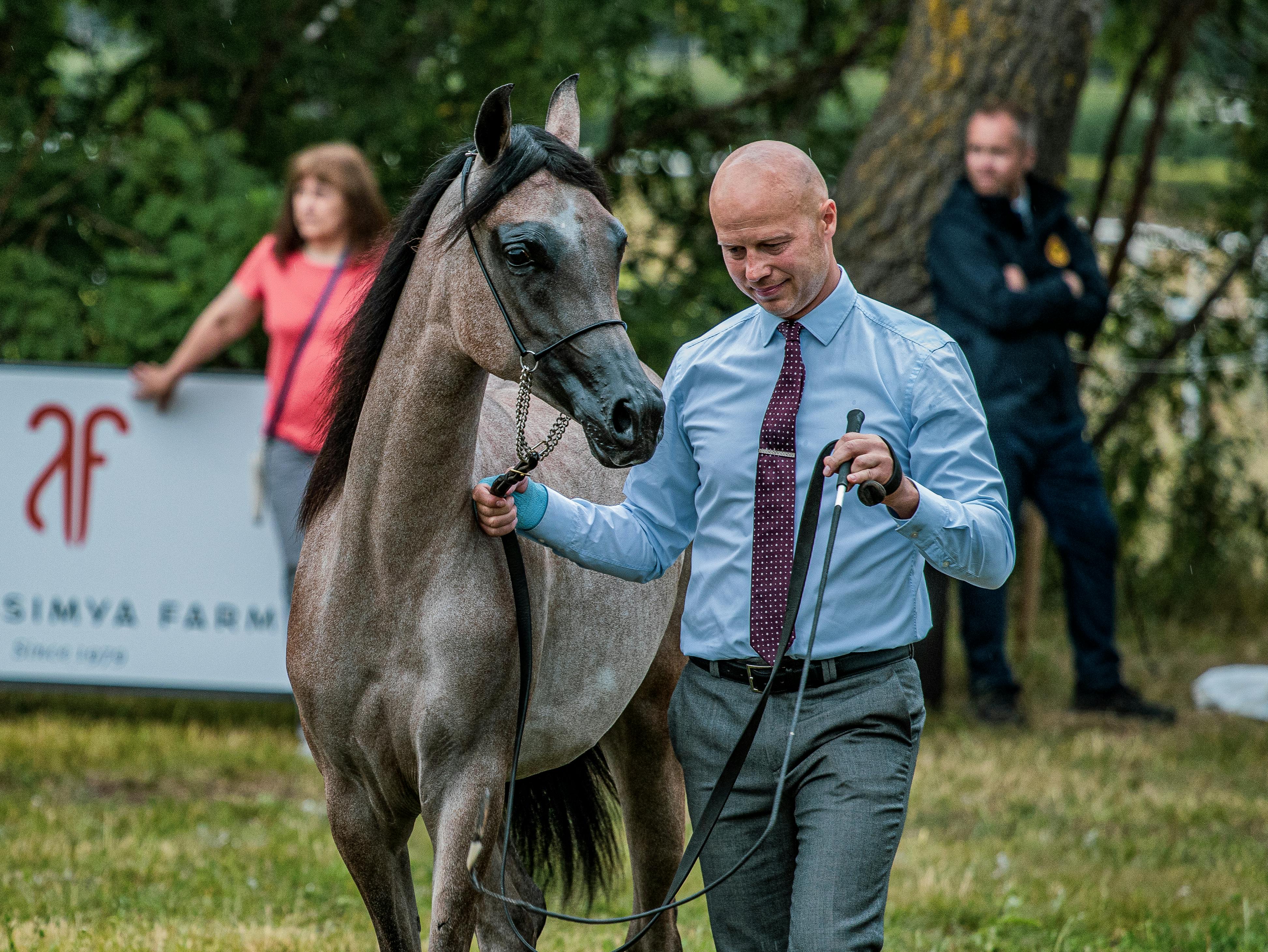 Man Holding Harness · Free Stock Photo