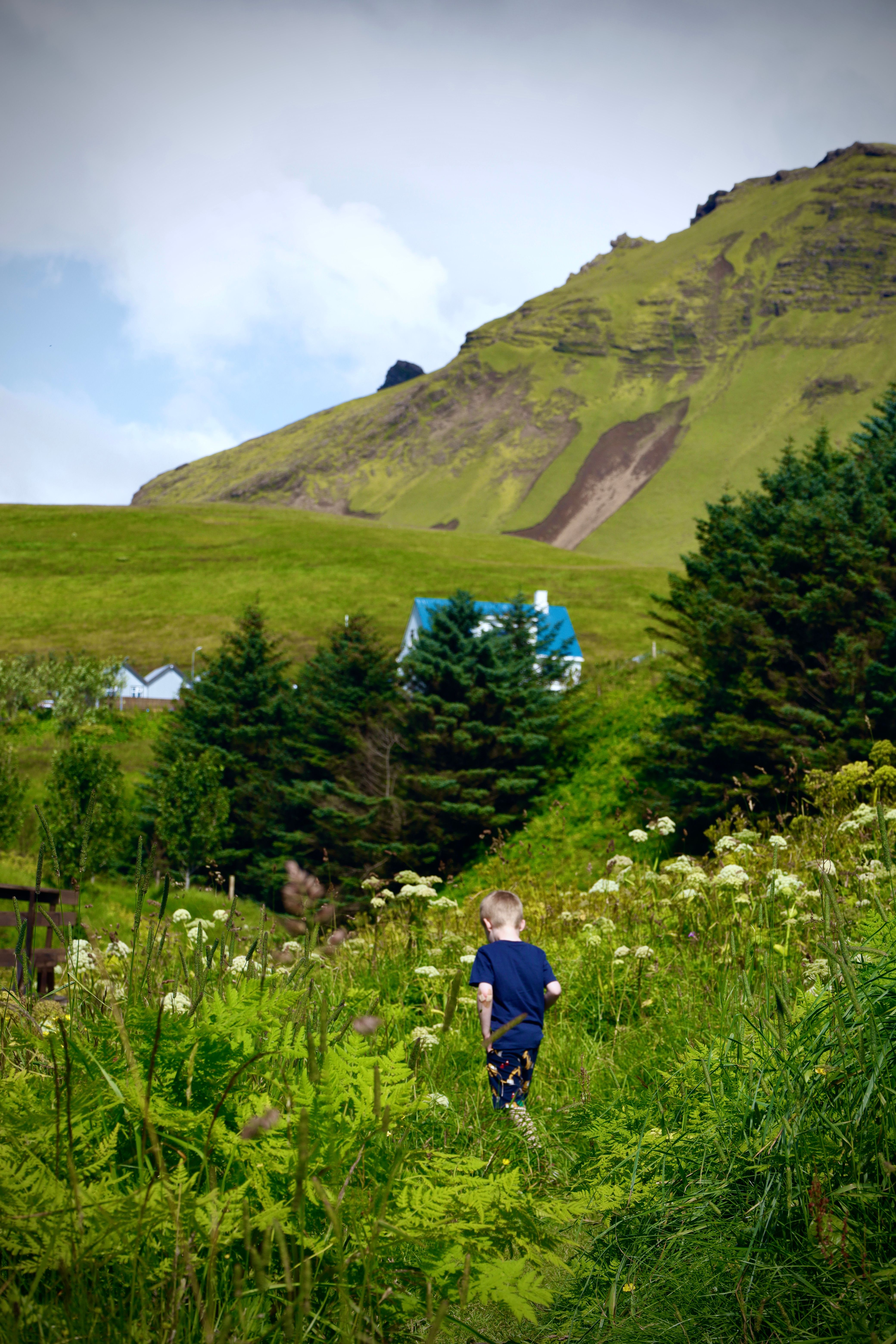 Boy Walking Meadow · Free Stock Photo