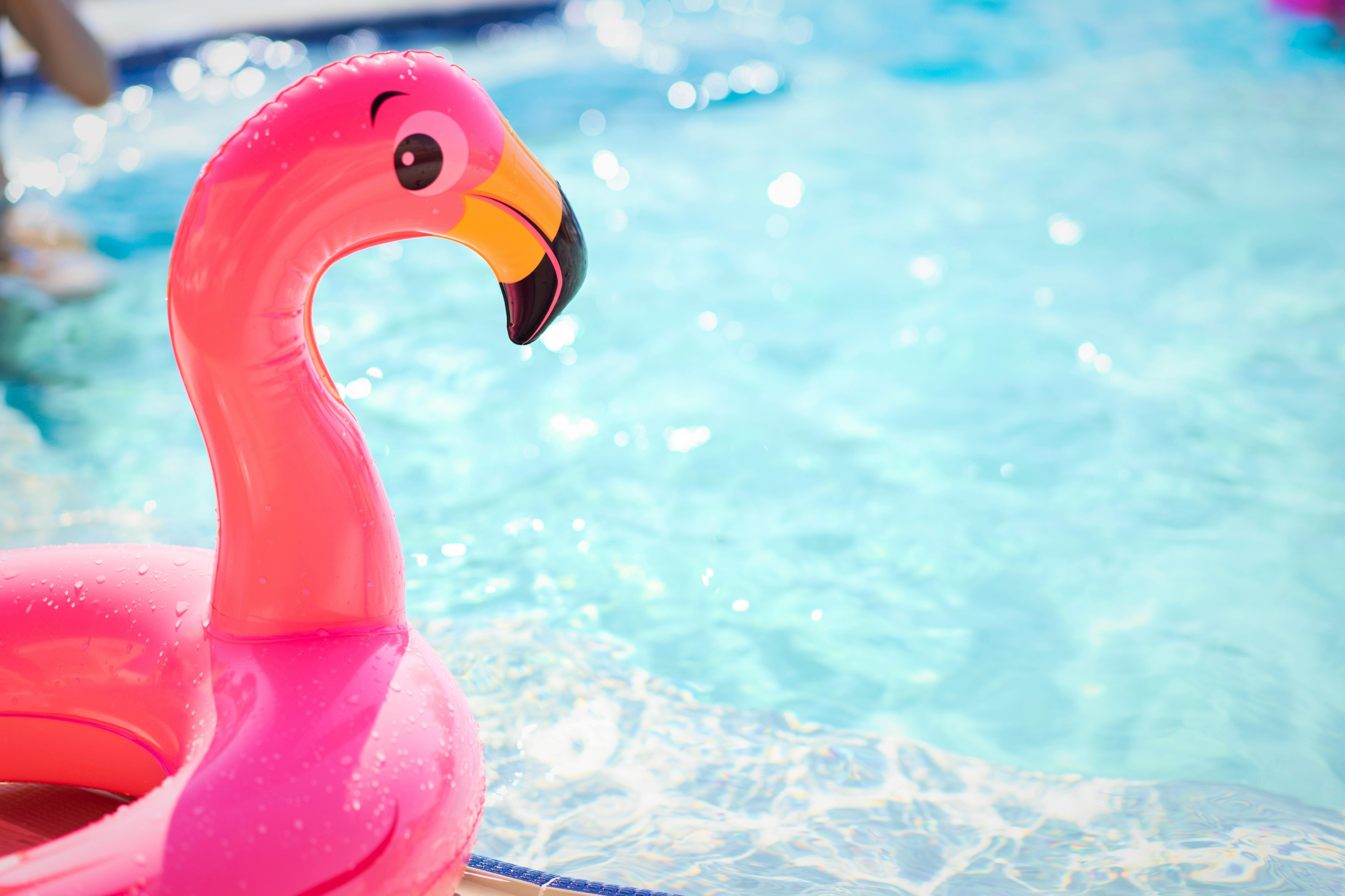 A Girl Riding a Floater on the Pool · Free Stock Photo