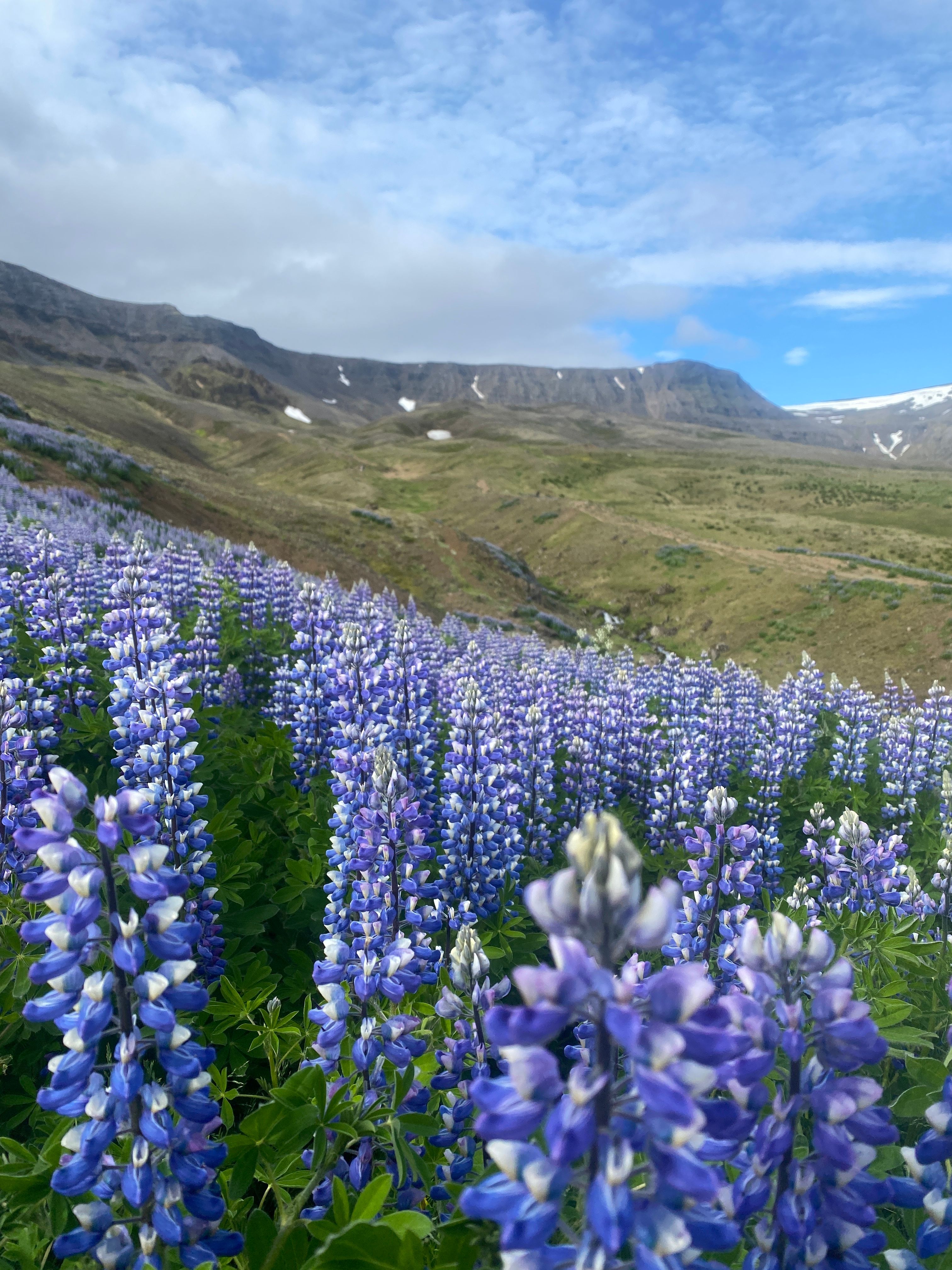 Esjan Iceland 7 Photos & Videos Collected by Anoop A Nair