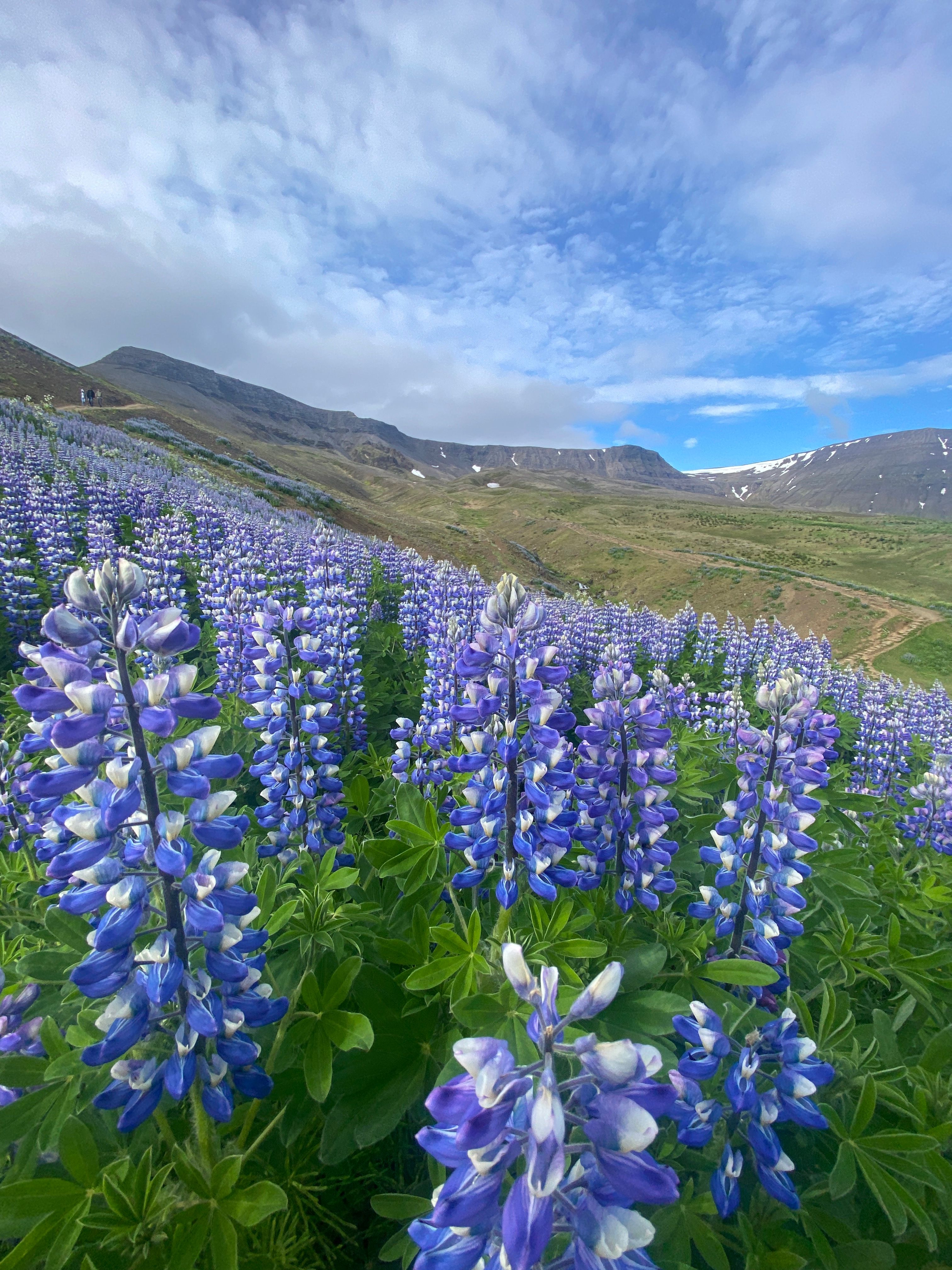 Esjan Iceland 7 Photos & Videos Collected by Anoop A Nair
