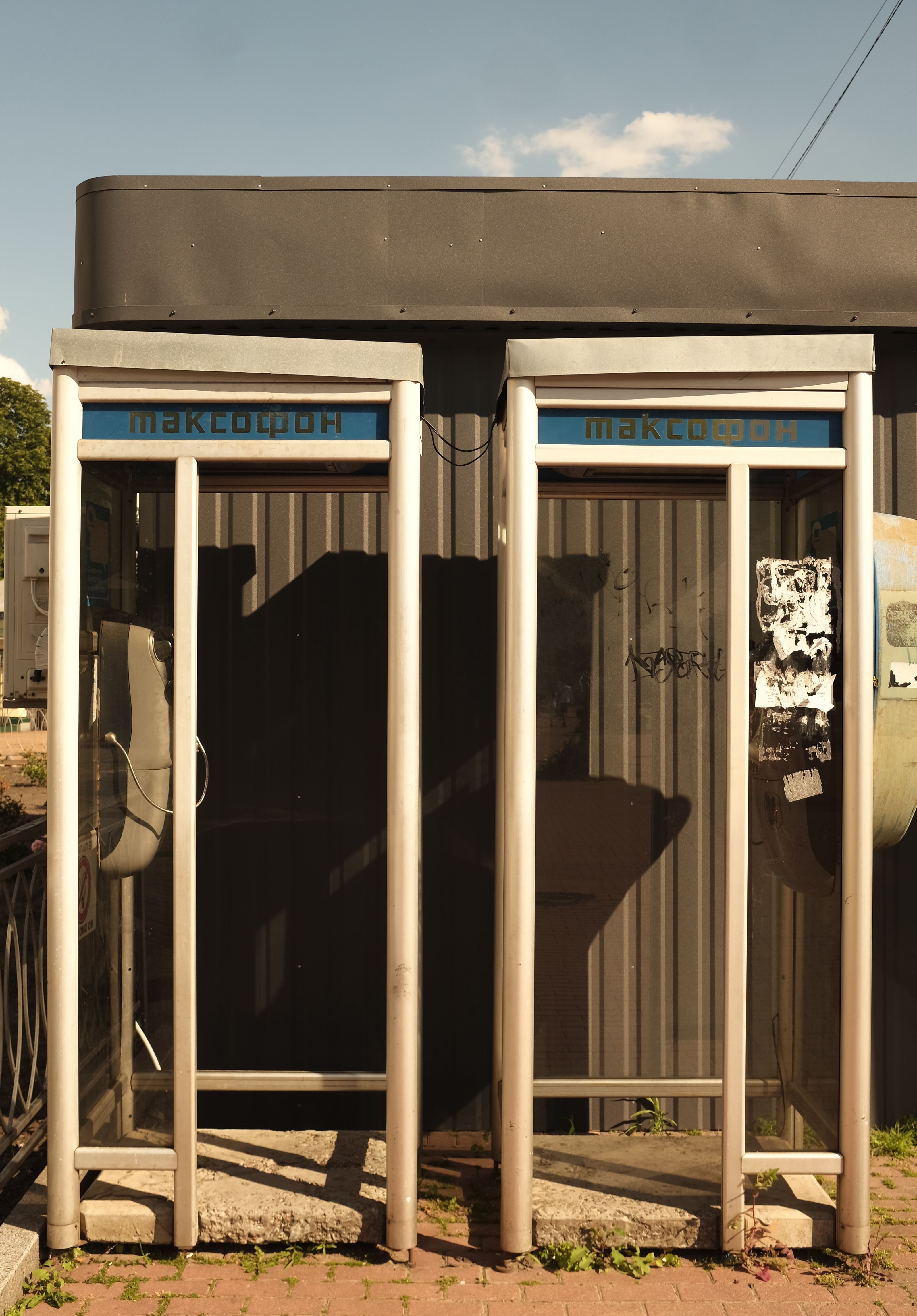 Man in Black and White Panda Costume Standing on Payphone Booth during ...