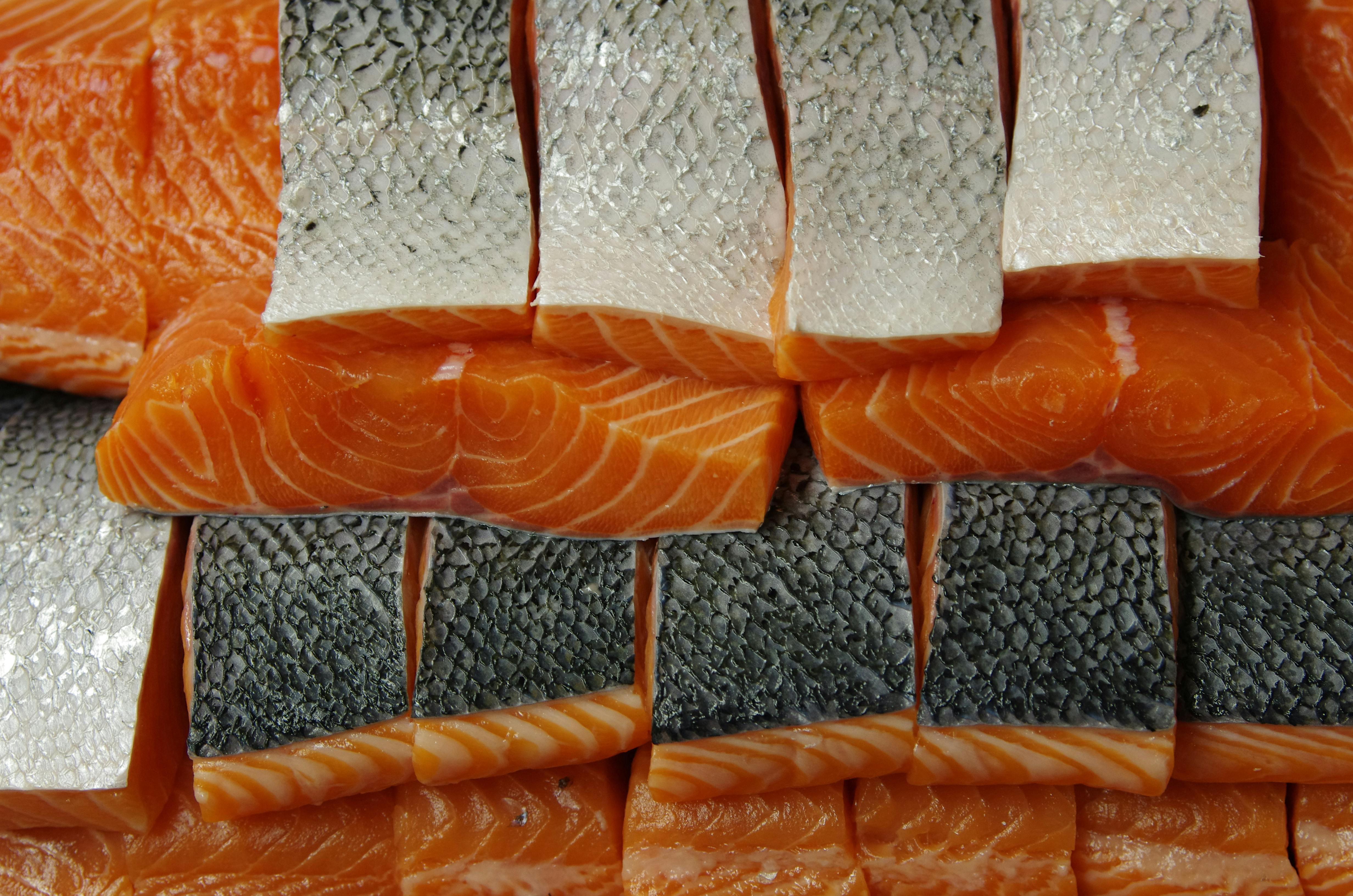 Free stock photo of salmon