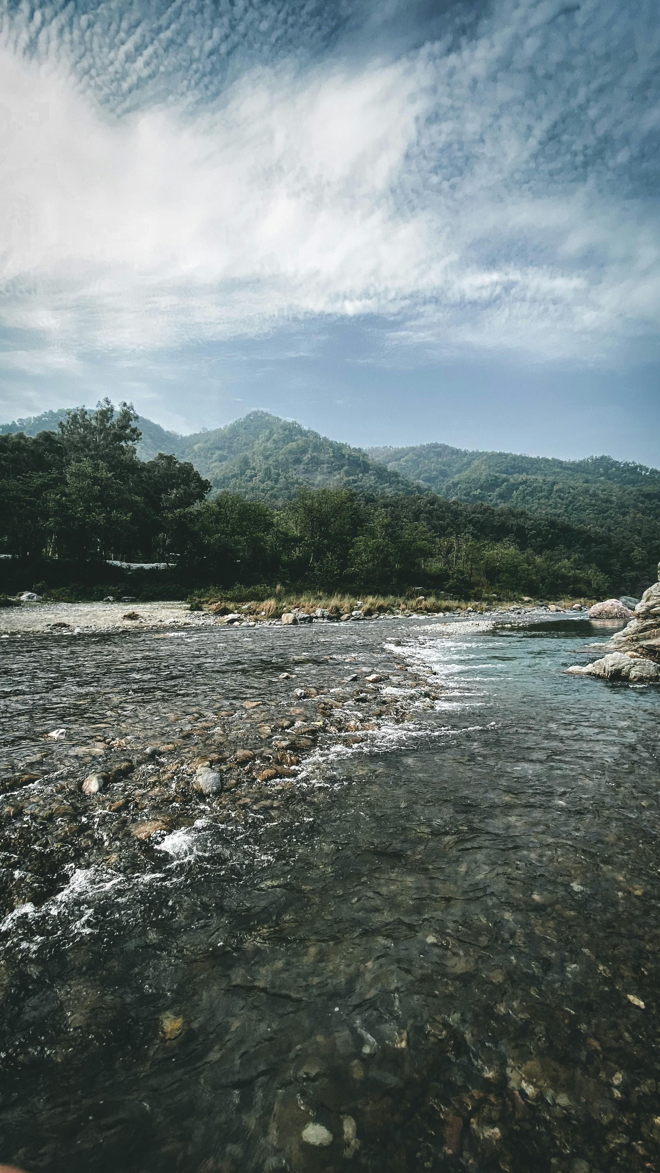 Rushing Stream Flowing Down the Slope · Free Stock Photo