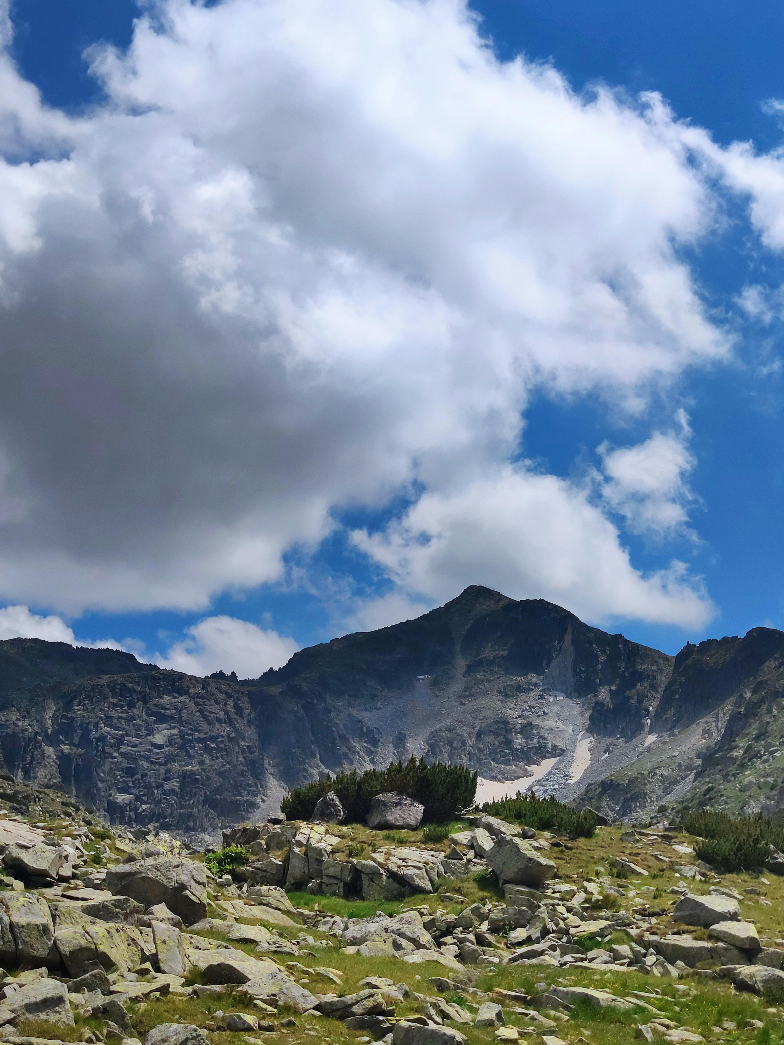 Wallpaper Begraund Photos, Download Free Wallpaper Begraund Stock ...