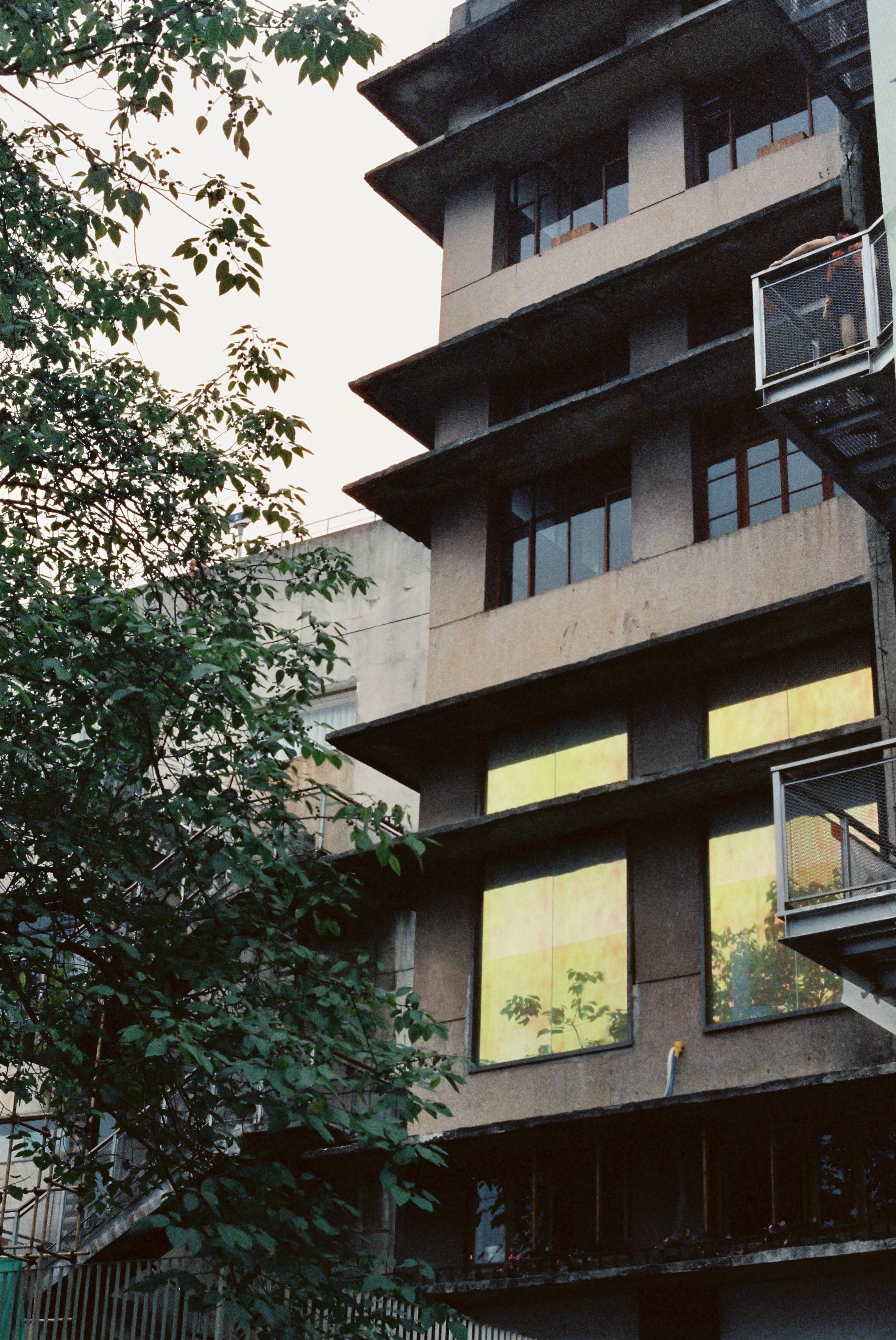 Foliage and Apartment Building · Free Stock Photo