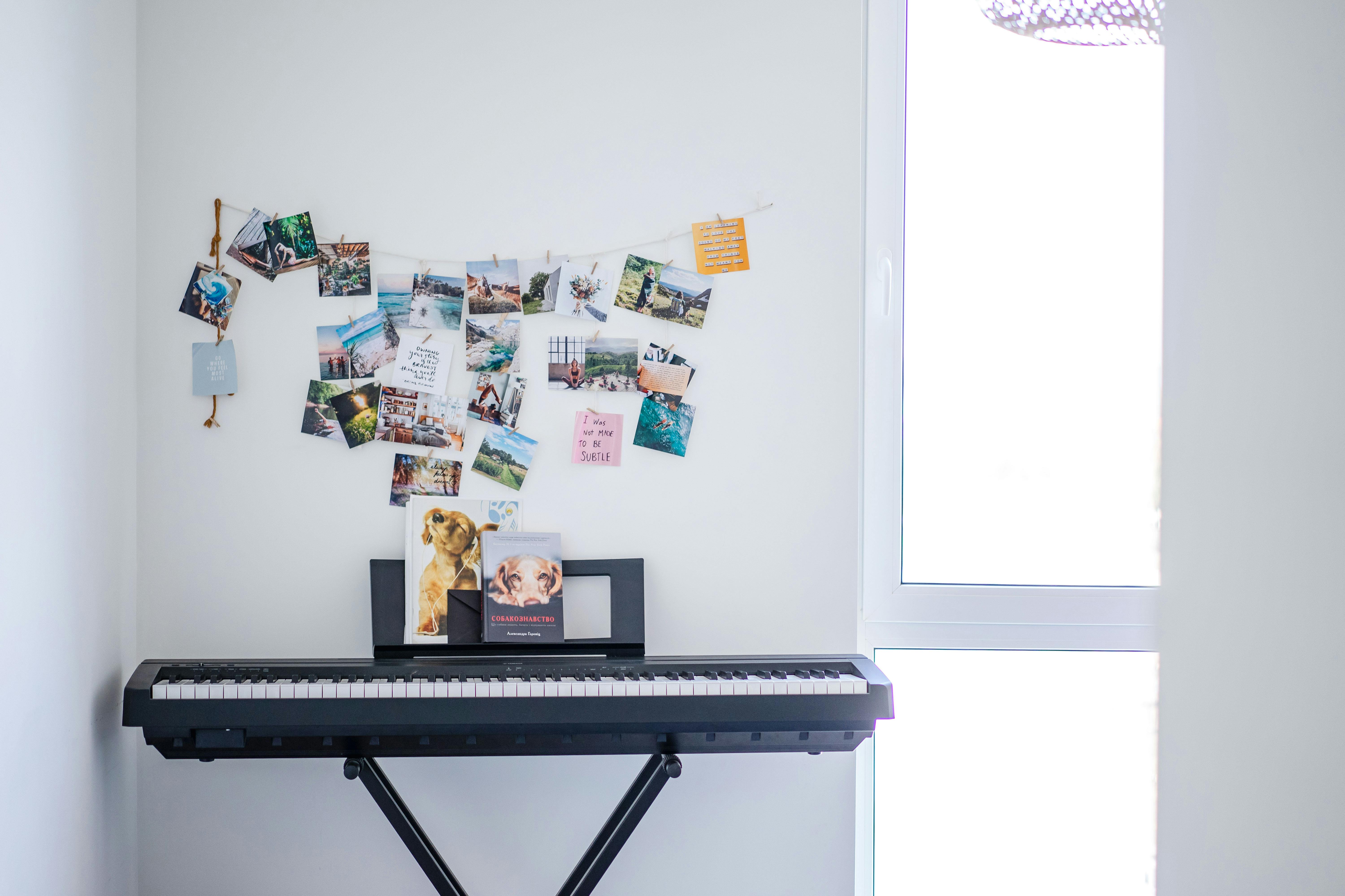 Musical Instrument Photos Photos, Download The BEST Free Musical ...