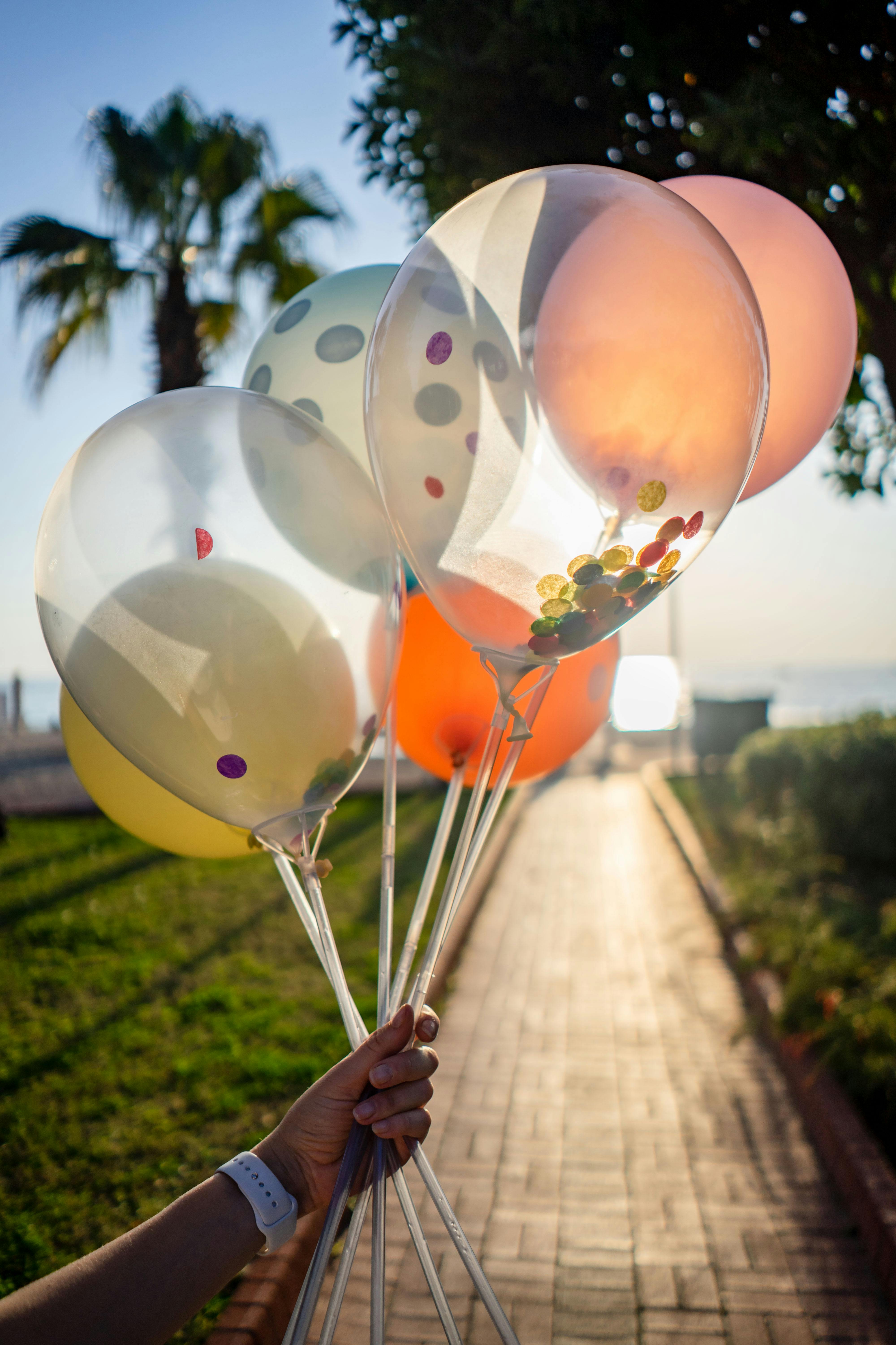 Hand Holding Balloons · Free Stock Photo