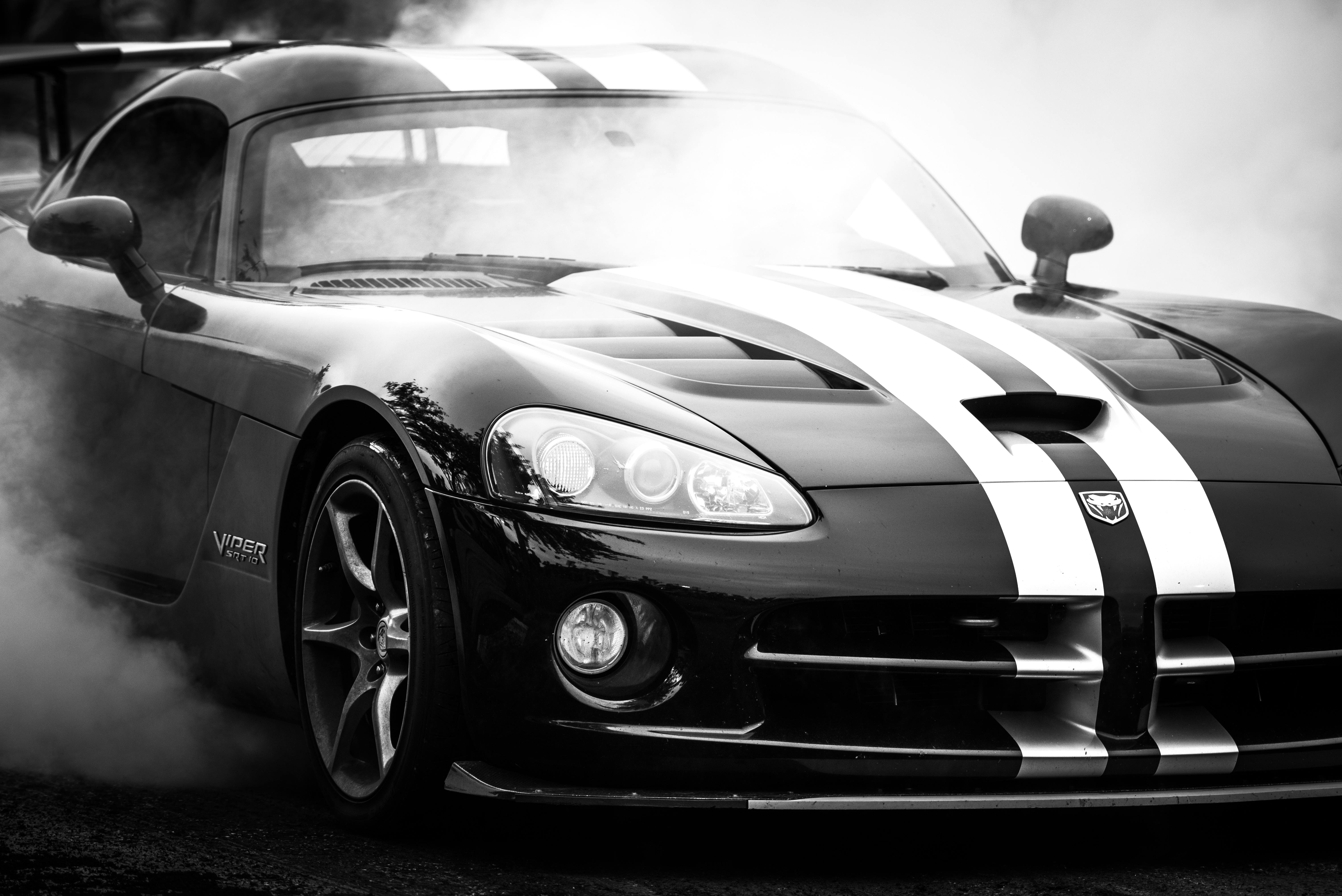 Viper Emblem Photos, Download The BEST Free Viper Emblem Stock Photos ...