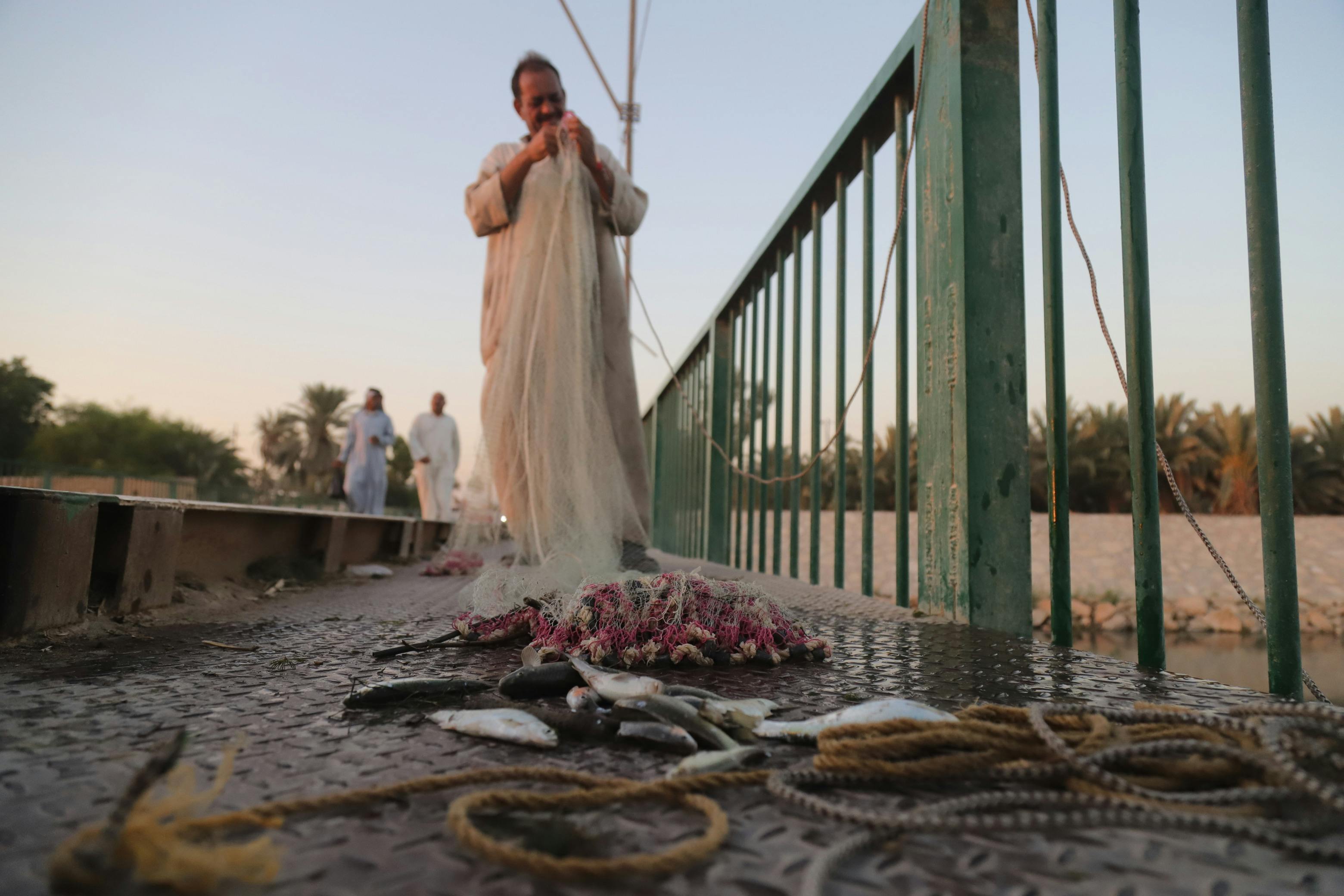 Ali Hussein - 攝影