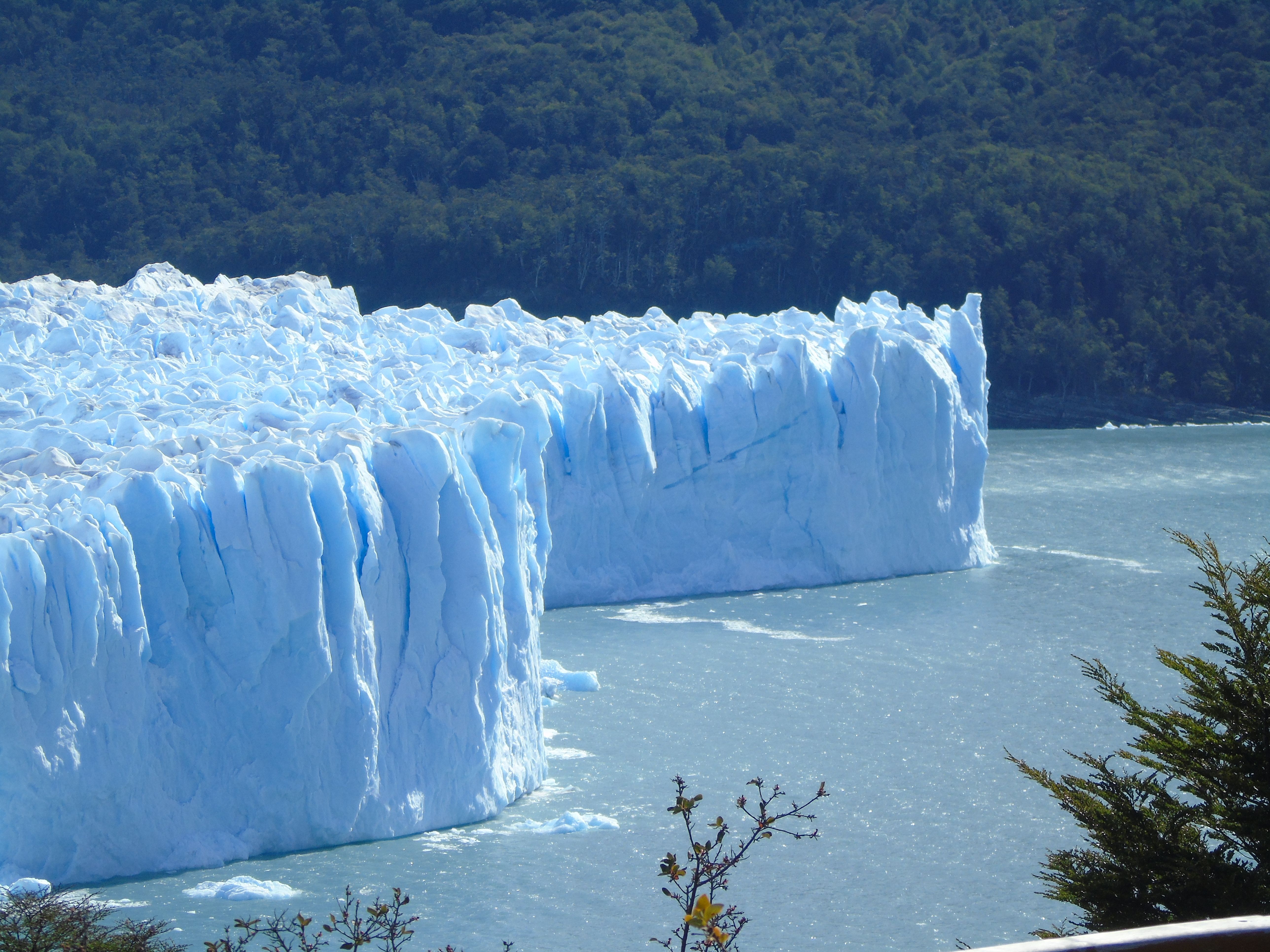 Glaciers on Body of Water · Free Stock Photo