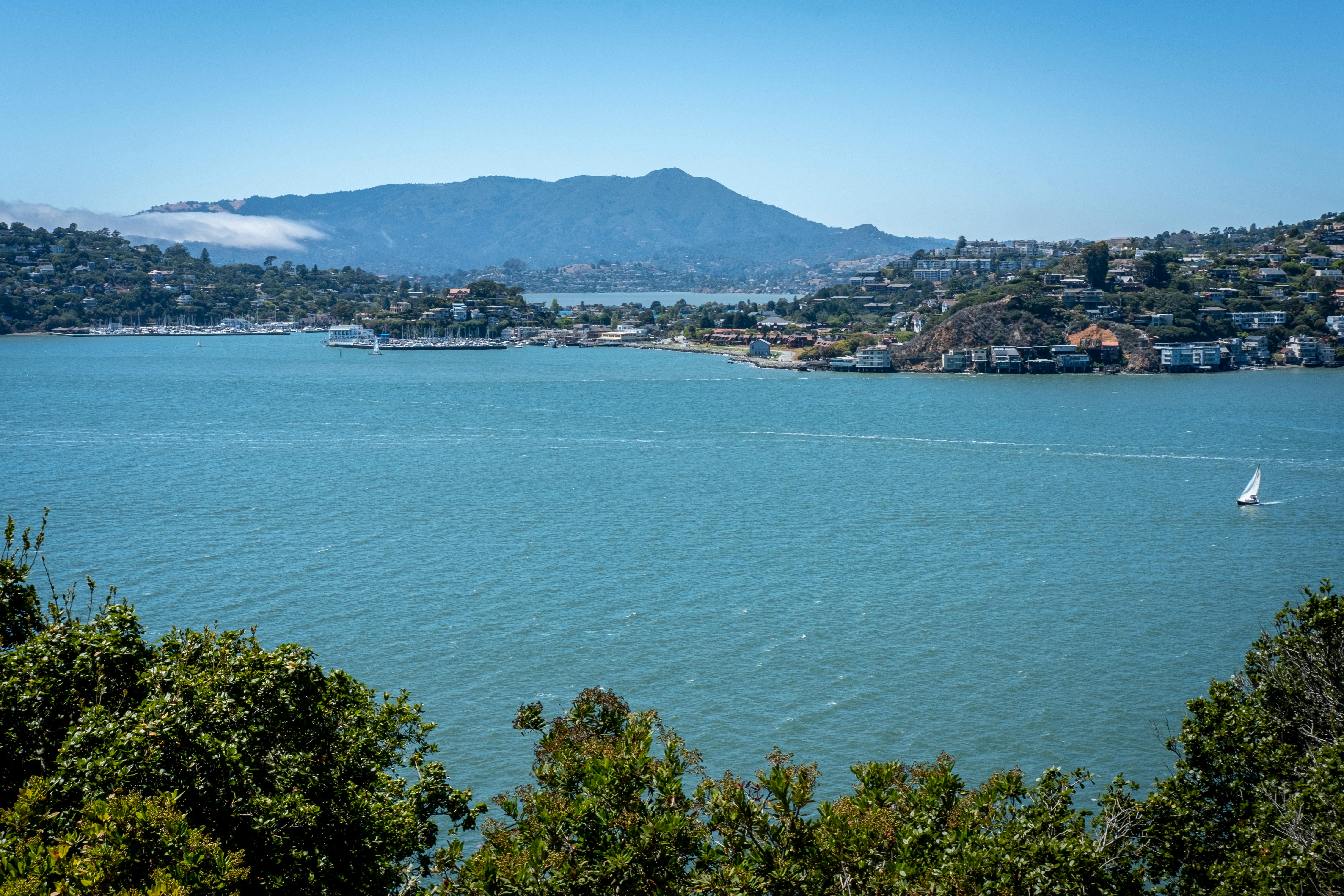 Not Recognising Photos, Download The BEST Free Not Recognising Stock ...