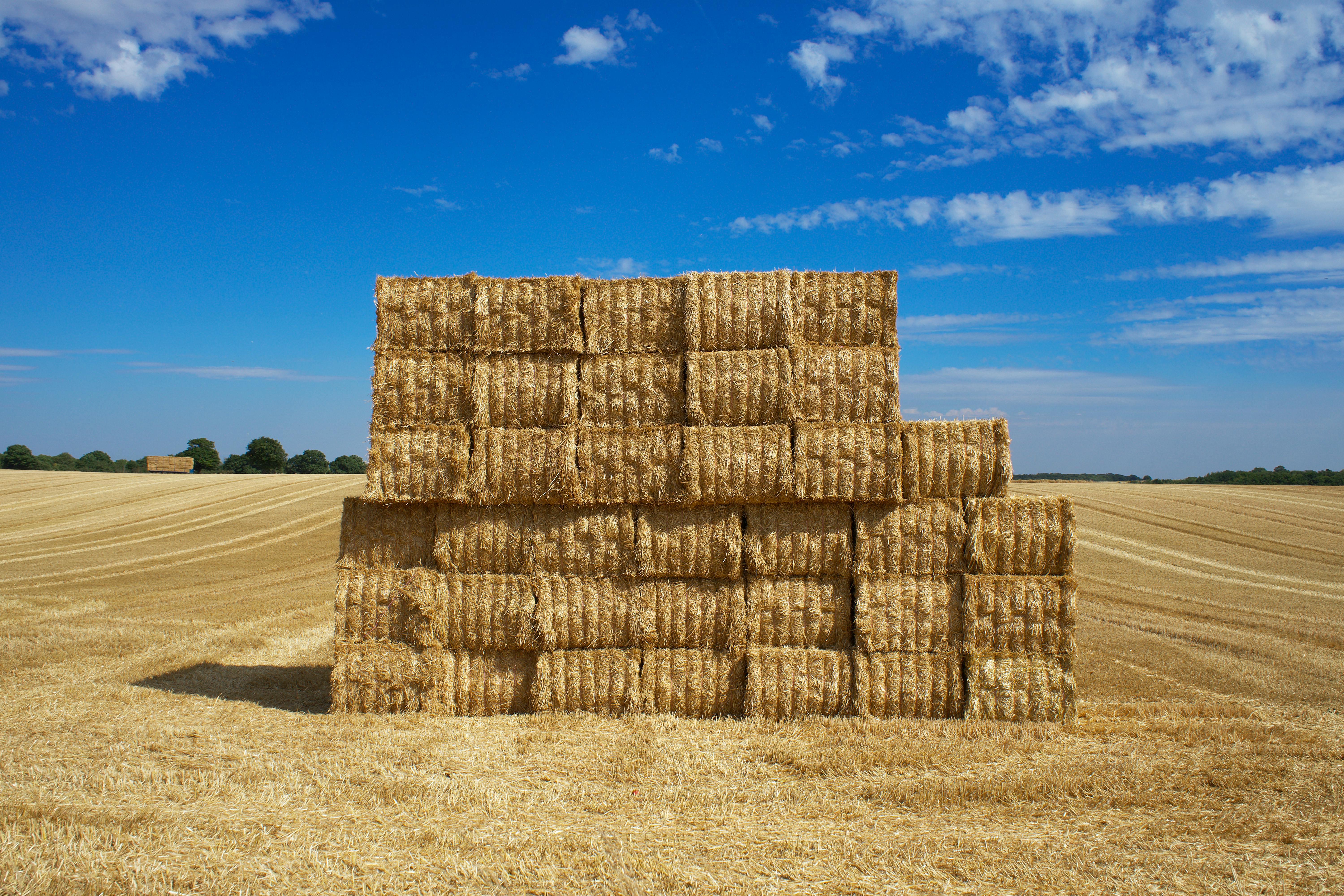Stacks of Rectangular Bales of Golden Hay · Free Stock Photo