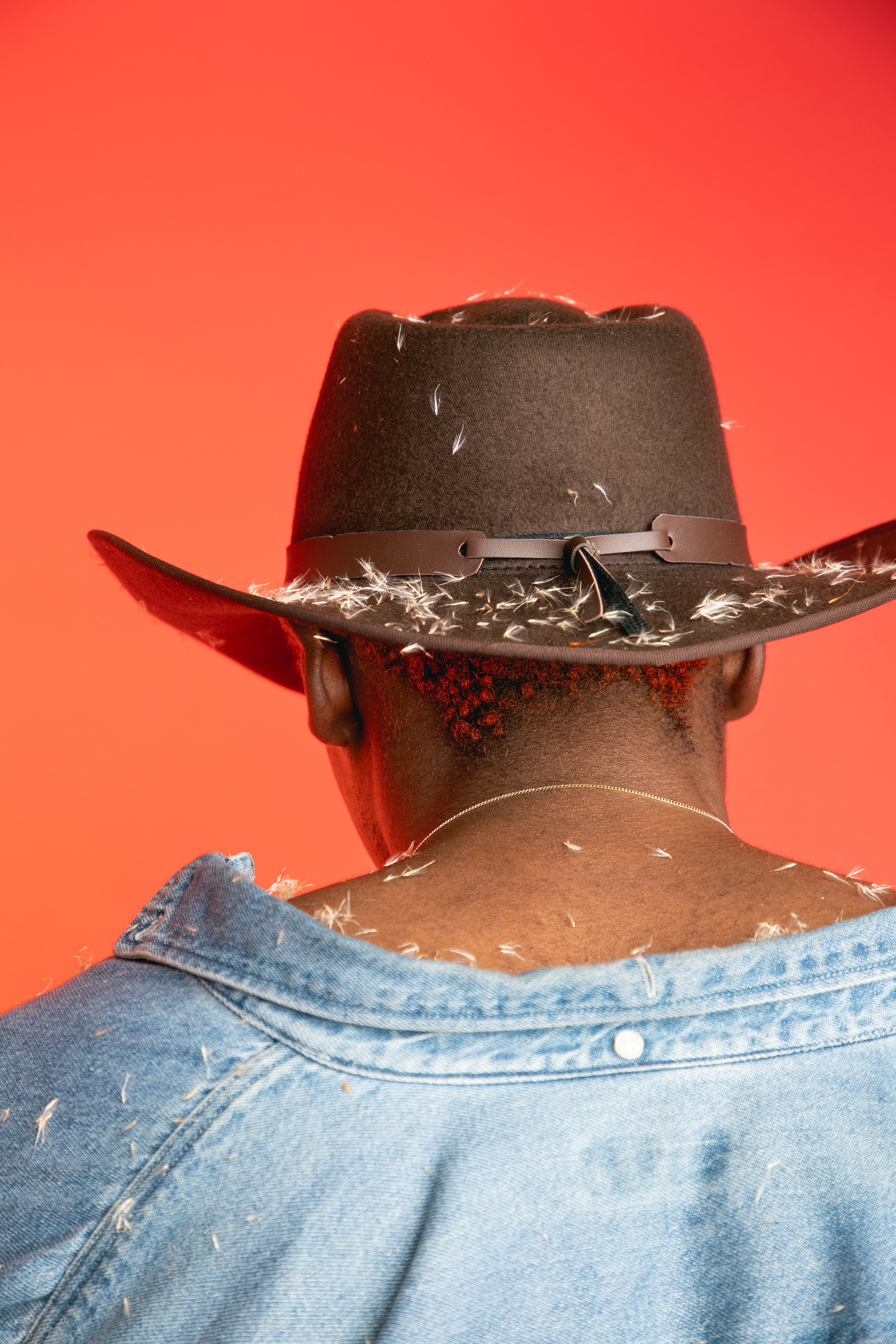 Back View of Woman Wearing Hat · Free Stock Photo