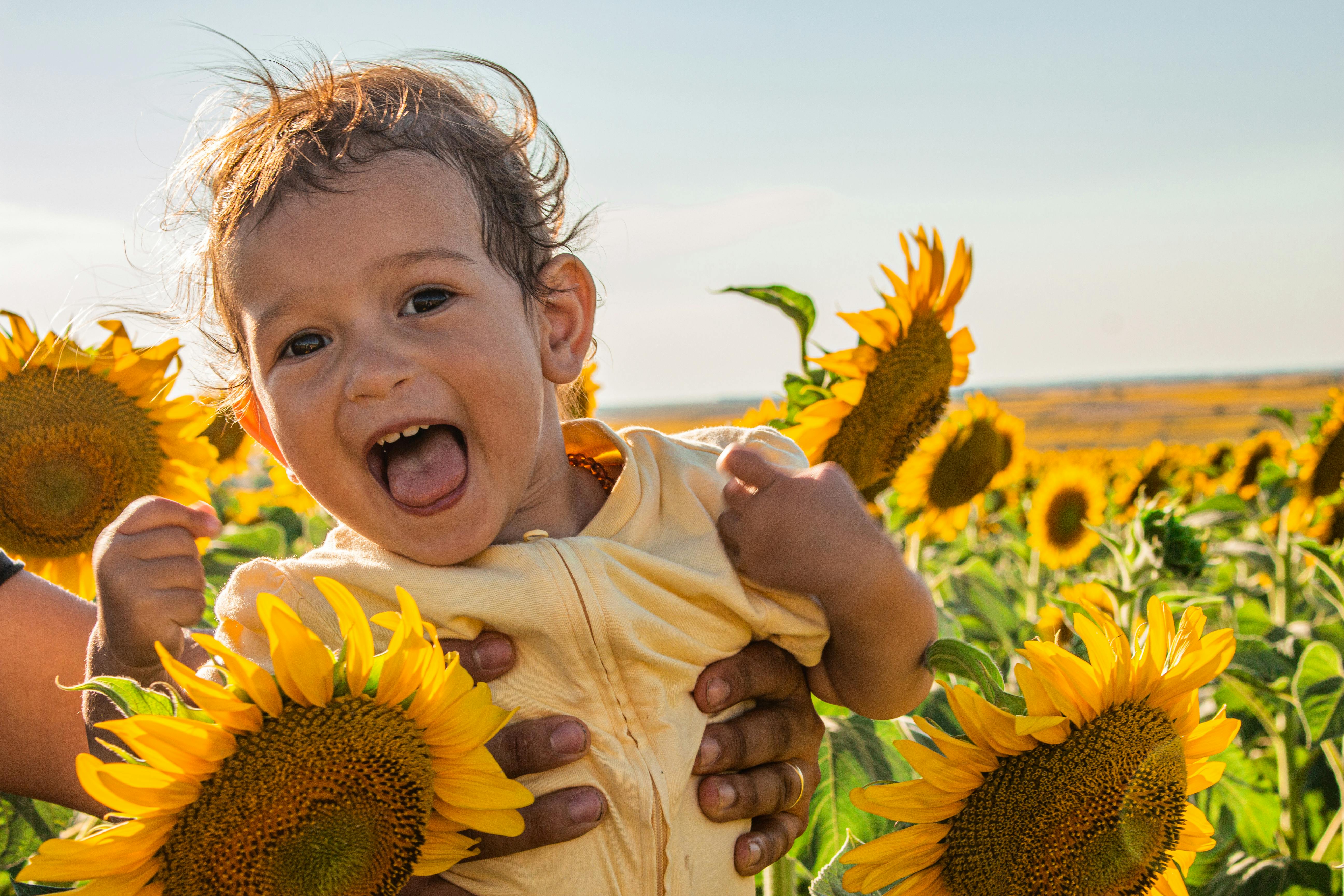Photograph of a Kid Near Sunflowers · Free Stock Photo