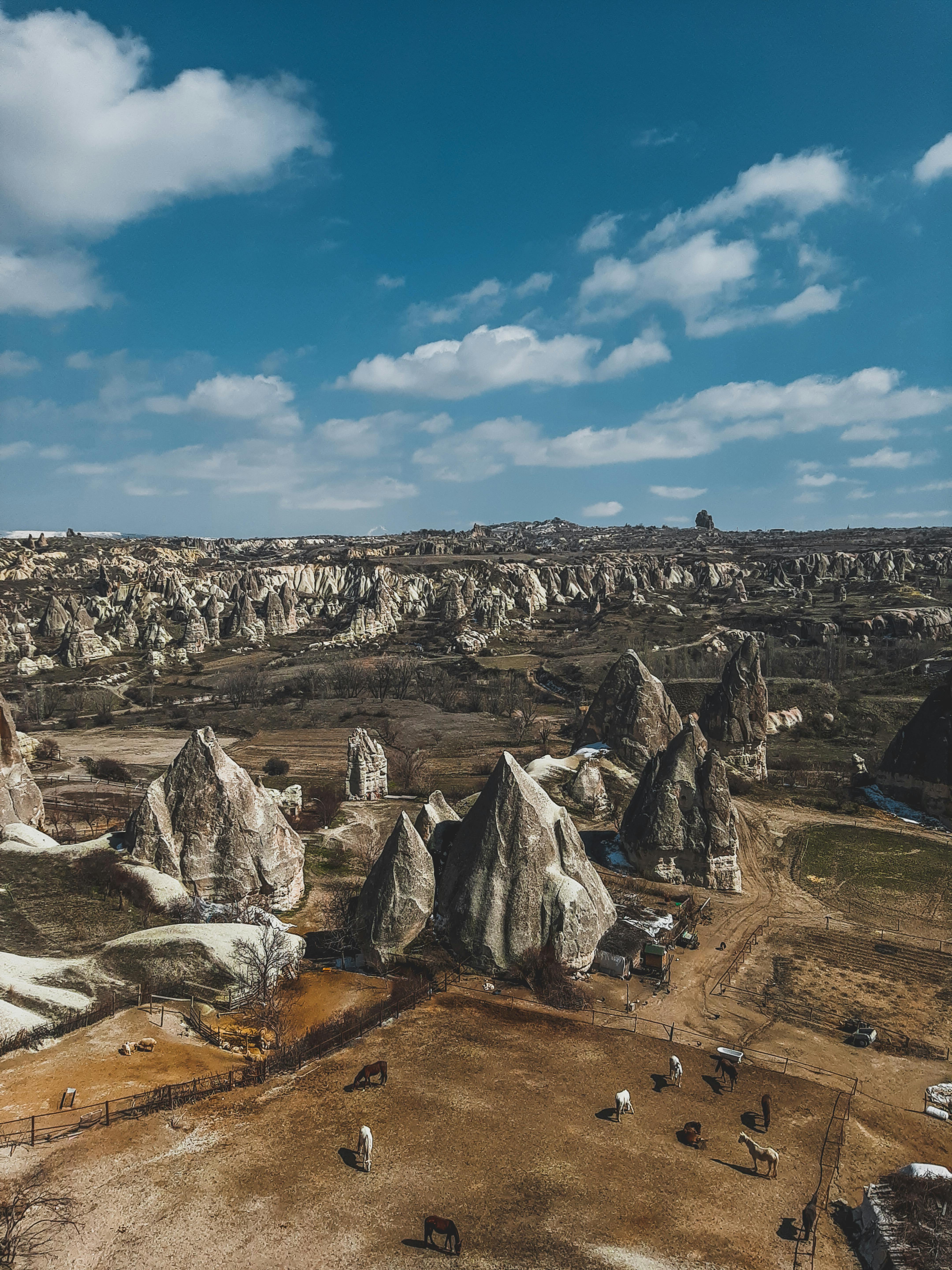 Rocks and Horses on Pasture · Free Stock Photo