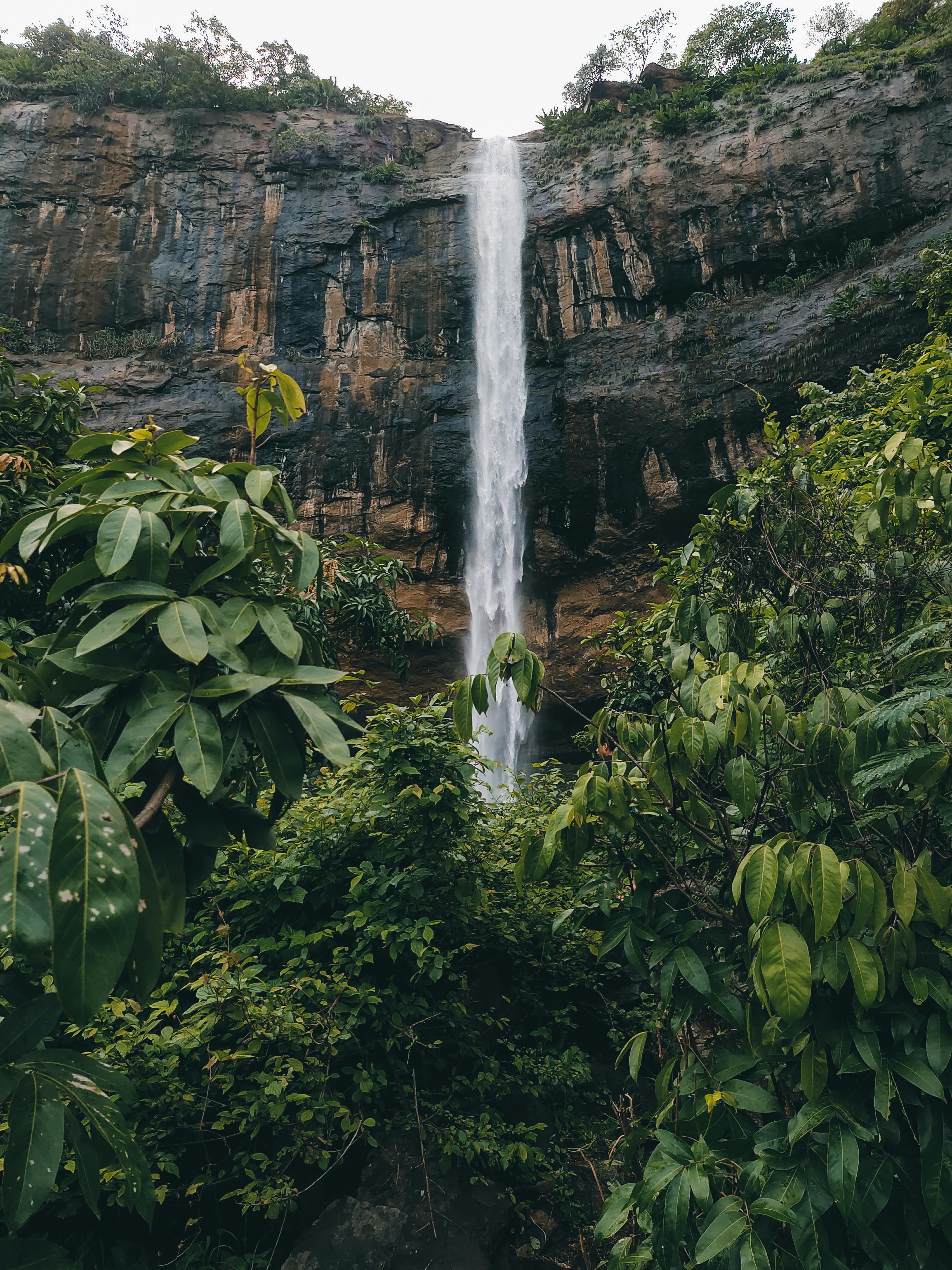 rahil shaikh - 写真