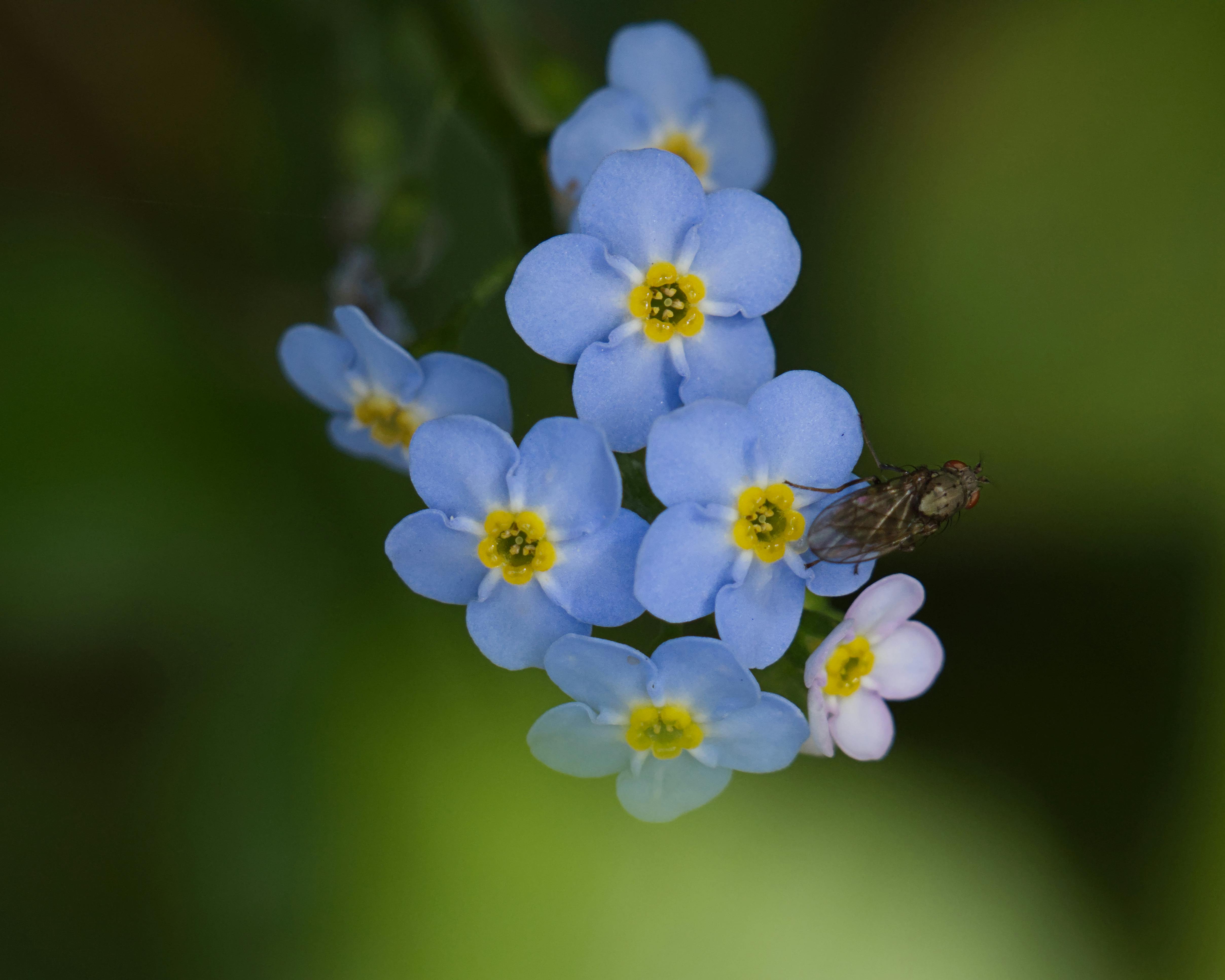 Forget Photos, Download Free Forget Stock Photos & HD Images