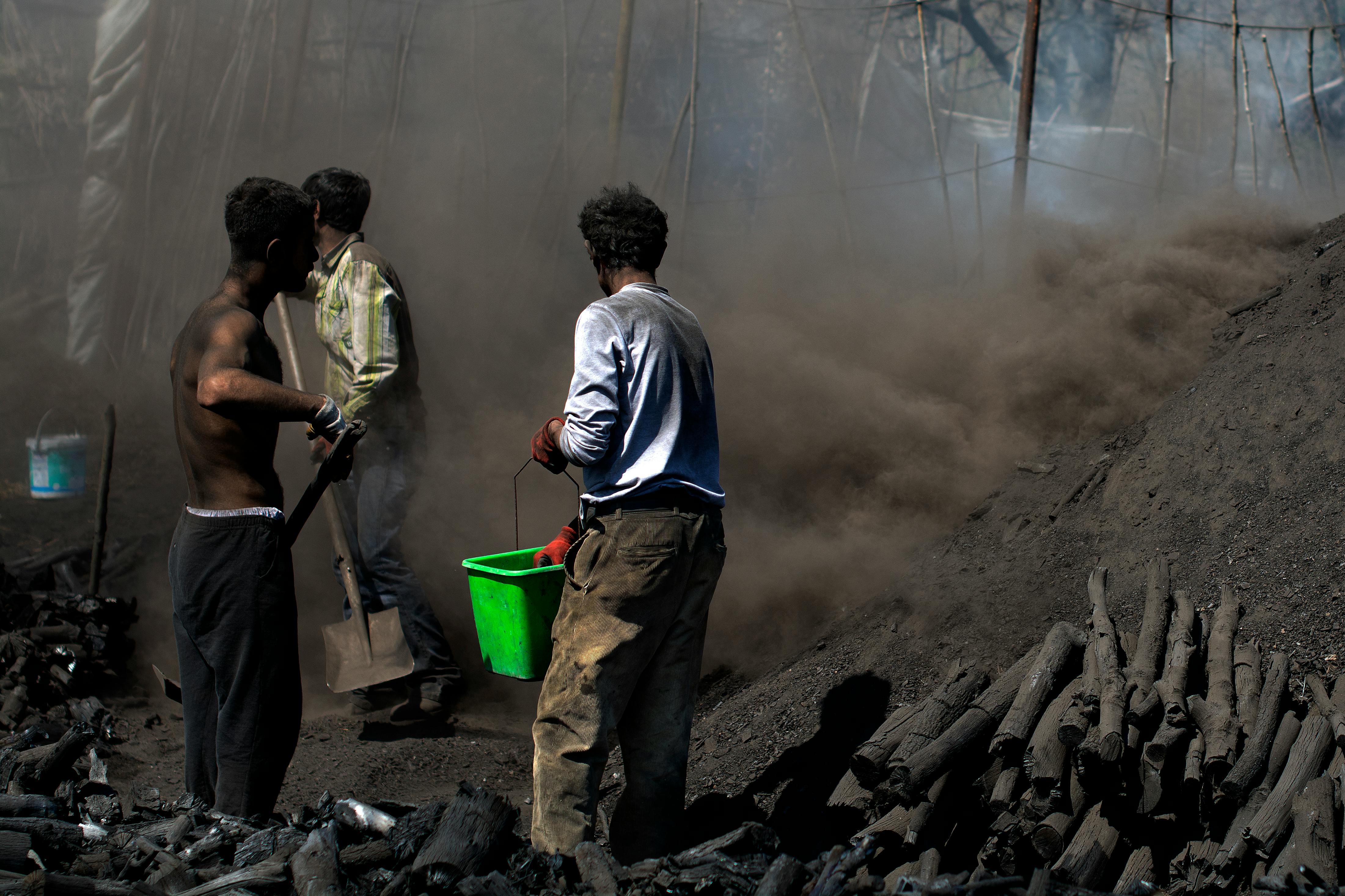 Men Making Charcoal · Free Stock Photo
