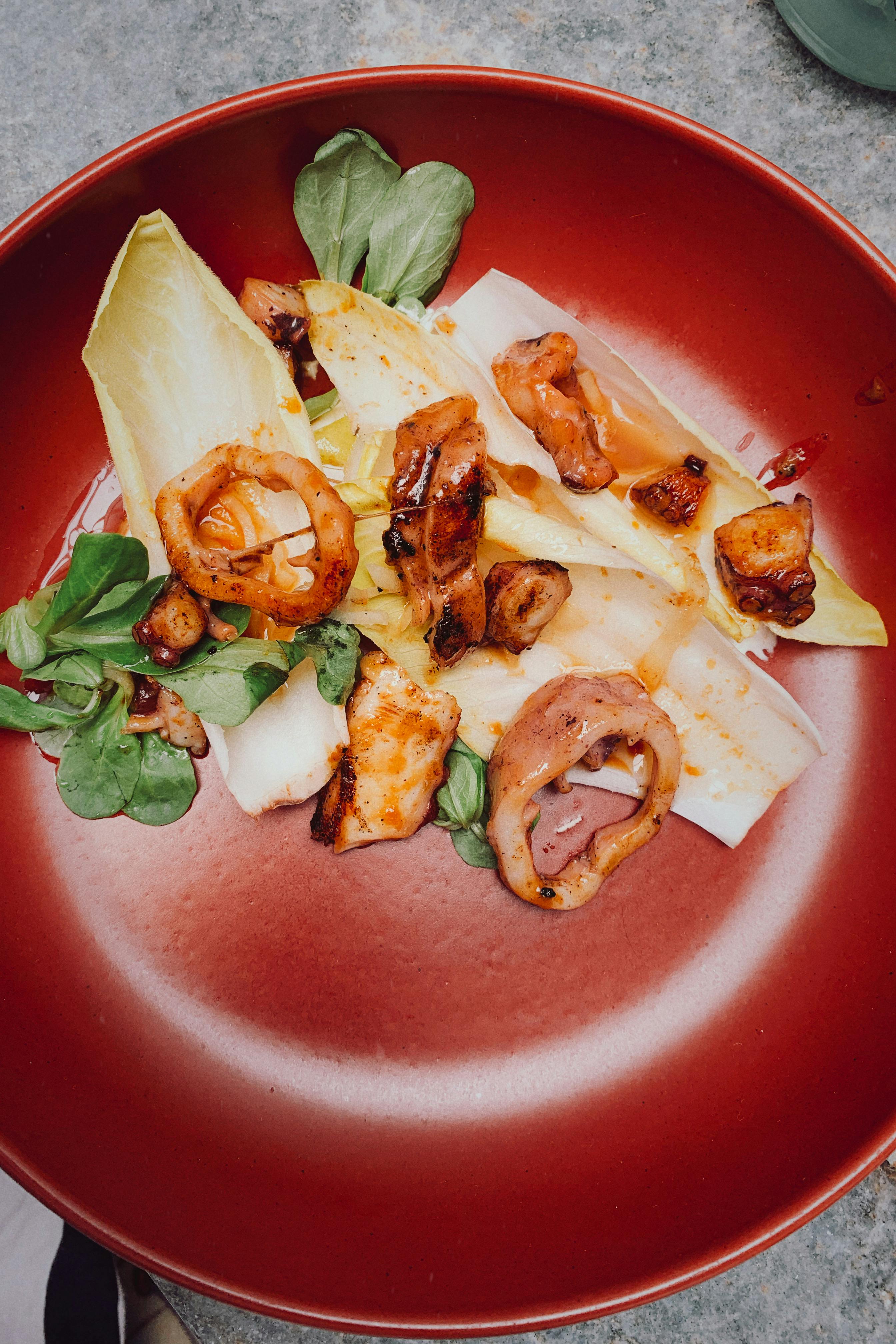 Cooked Food on Square Ceramic Plate · Free Stock Photo