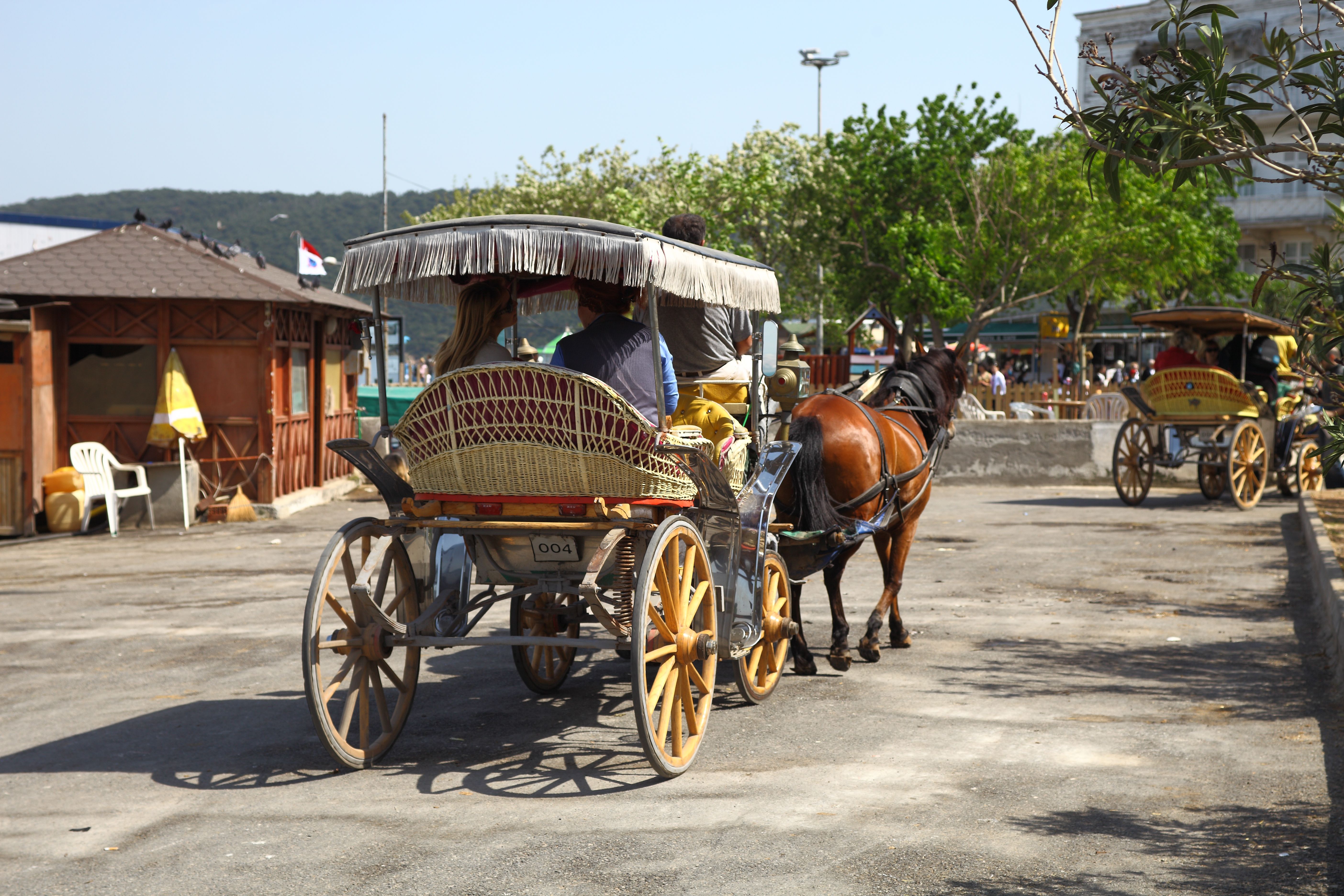 Men Riding A Horse Carriage · Free Stock Photo