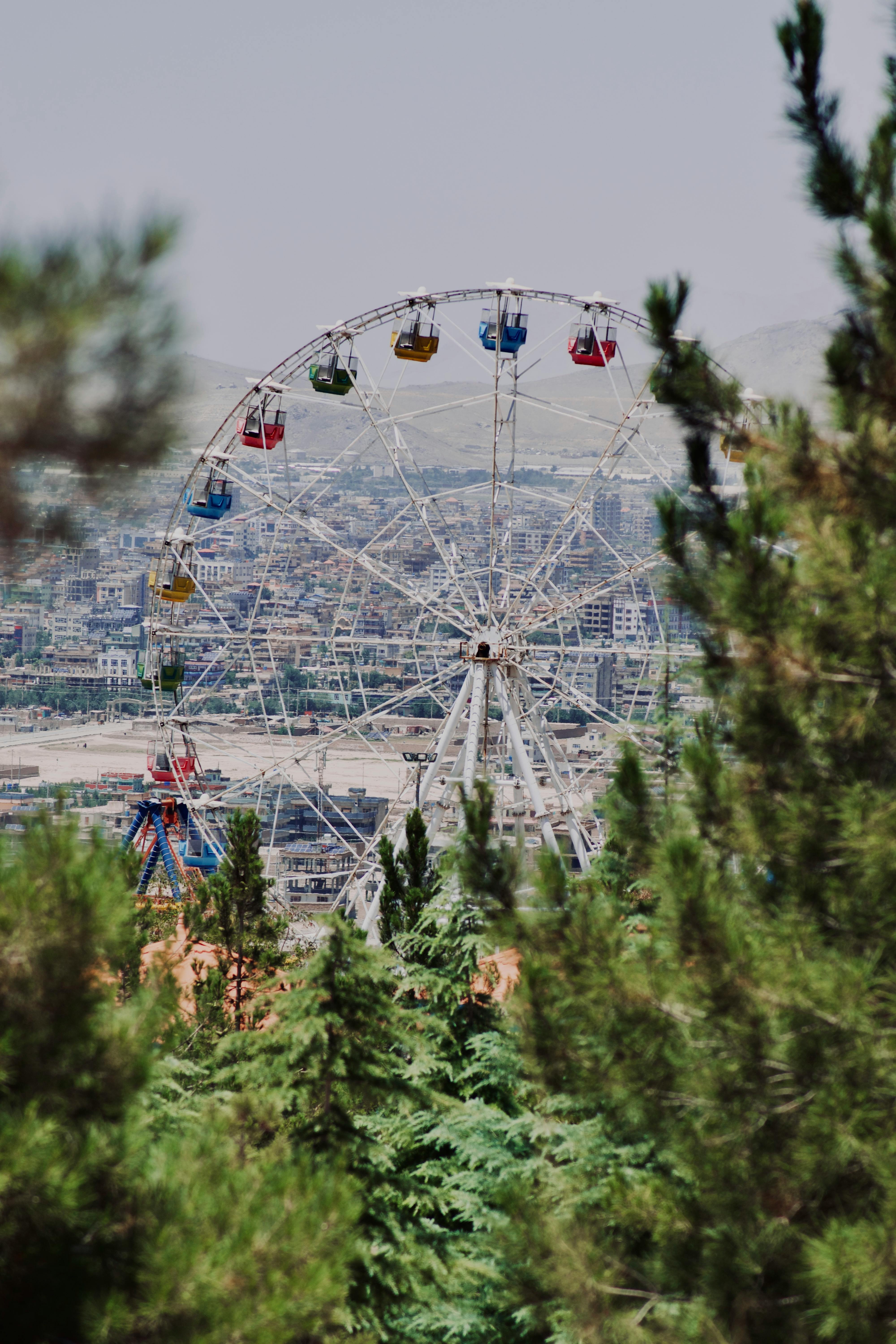 Green Trees Near the Ferris Wheel · Free Stock Photo
