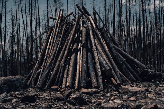 Depletion (accounting) Explained: Simple Guide for Beginners